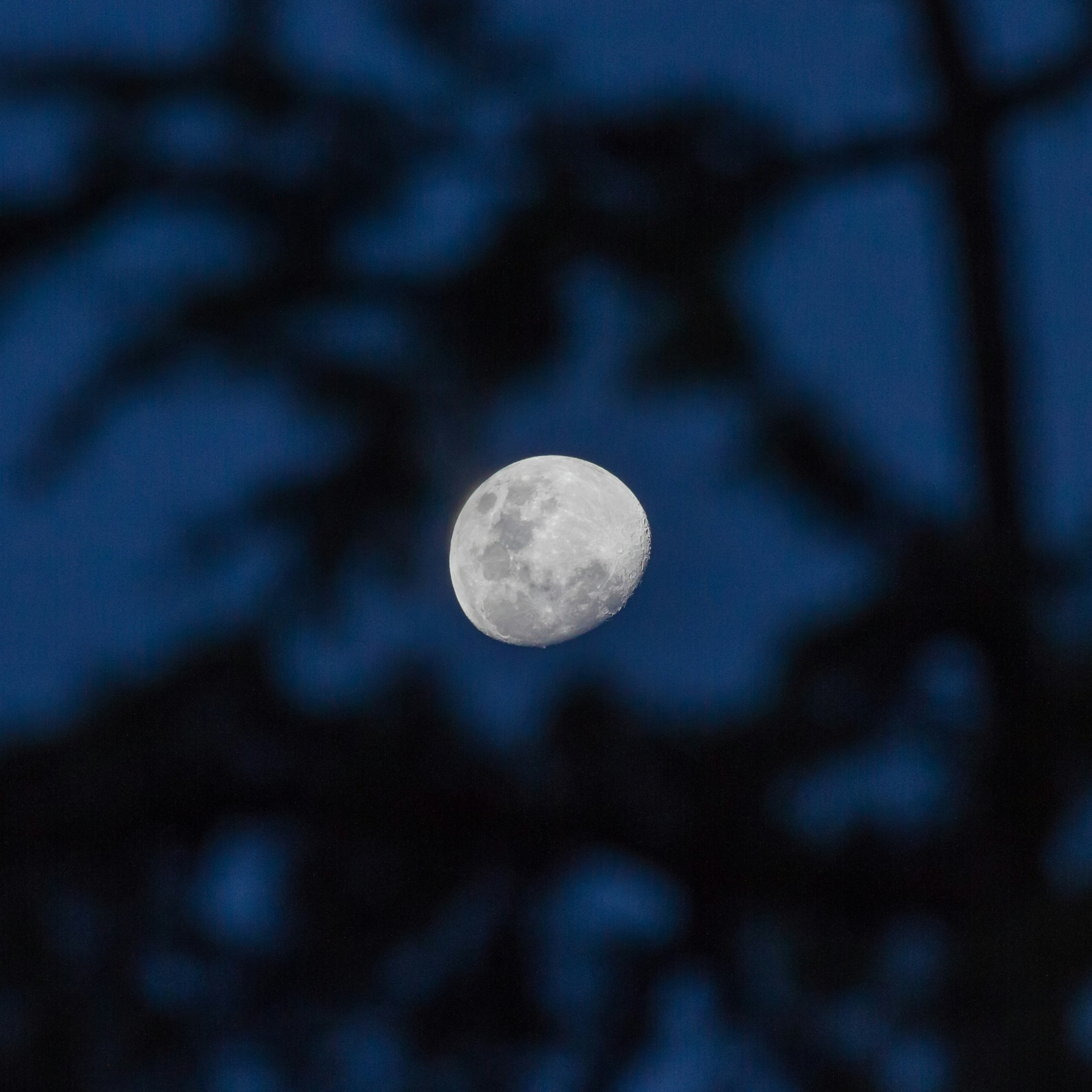 Closeup Moon Pictures [HQ] | Download Free Images on Unsplash