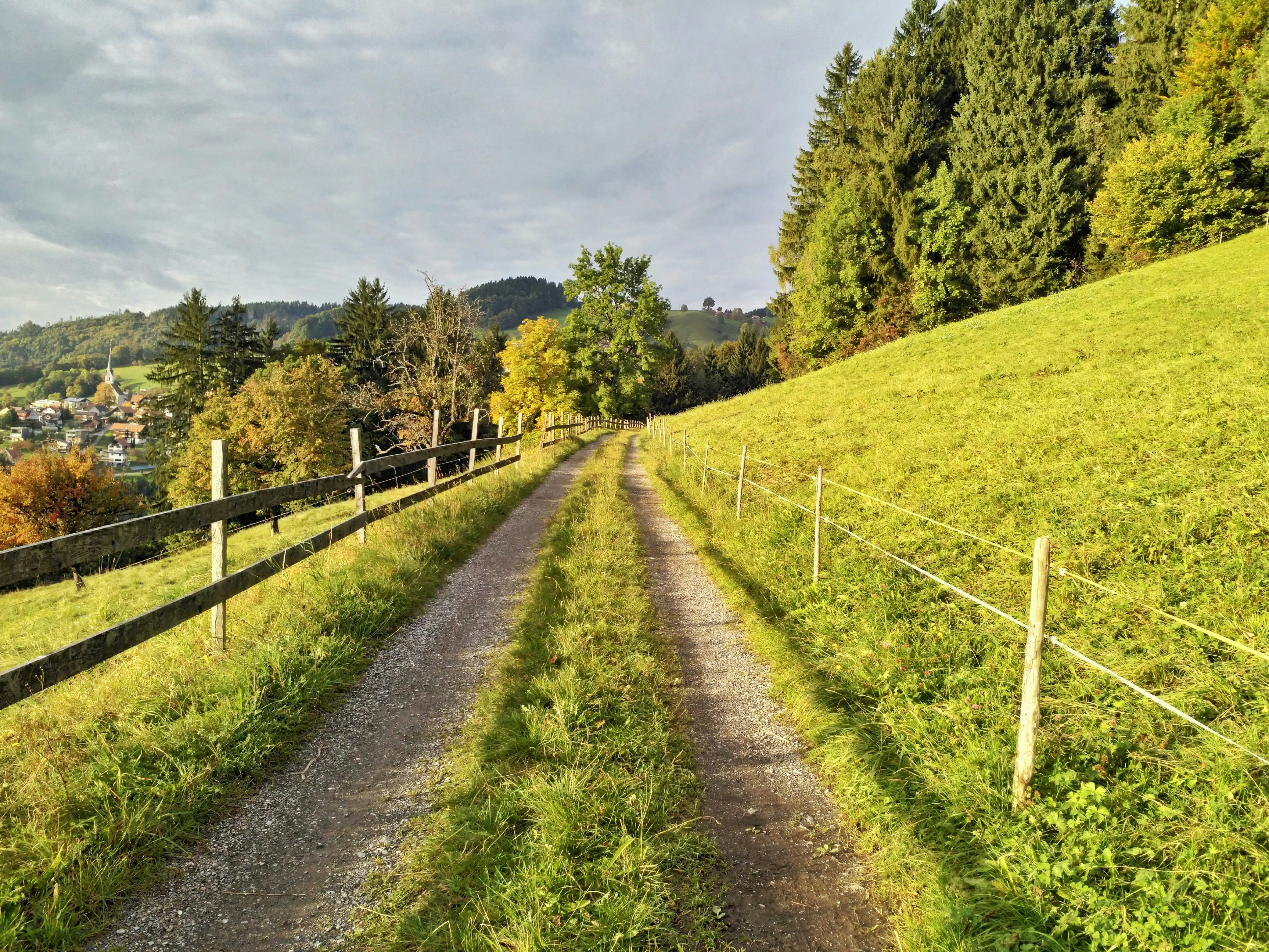 Hermann Ritter (@rihe) | Unsplash Photo Community