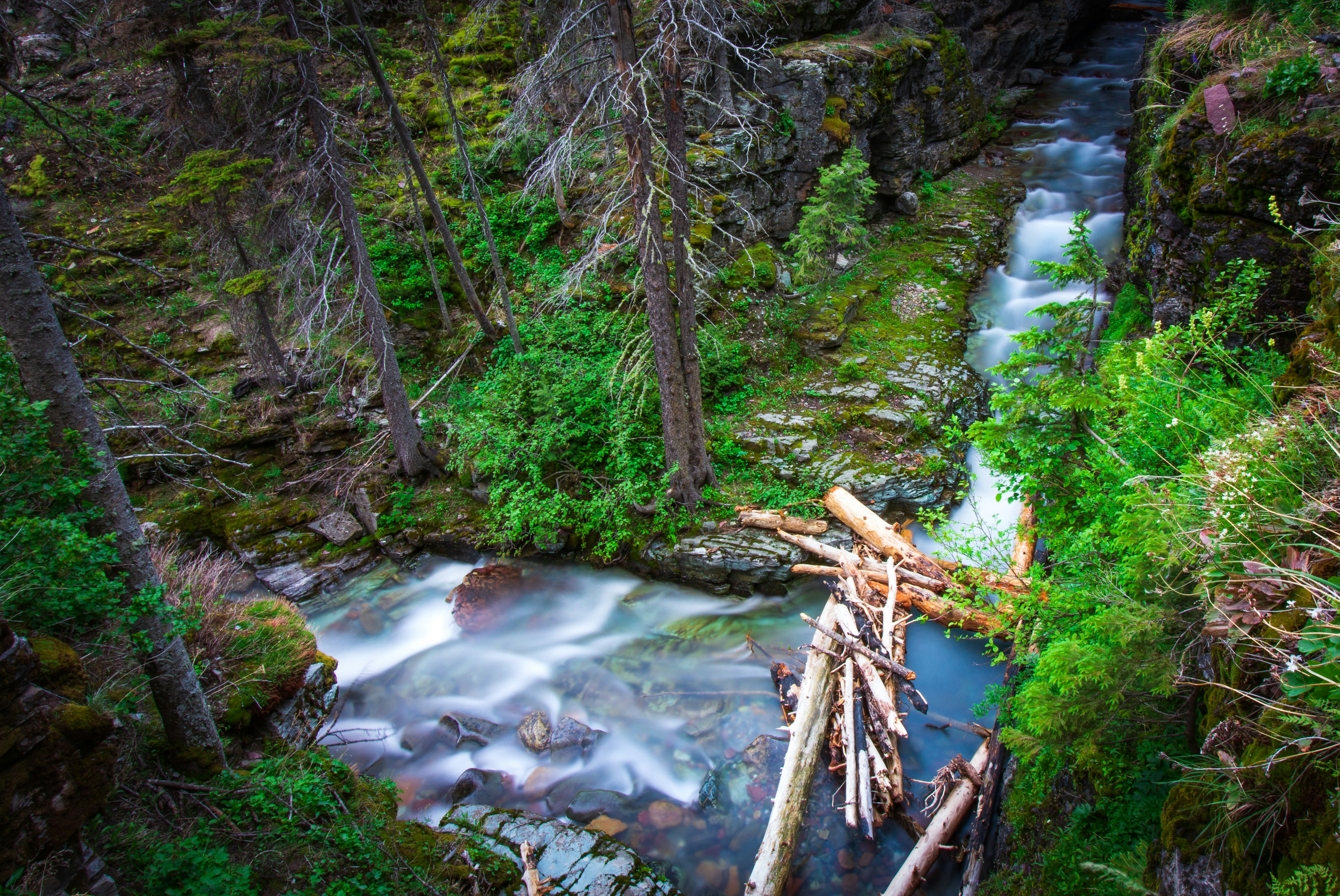 This captivating image captures a tranquil forest stream surrounded by dense greenery and rugged rocks. The composition highlights the smooth, silky flow of water, achieved through long exposure, contrasting beautifully with the vivid greens of the foliage. The natural lighting and rich color palette create a soothing atmosphere, making the scene visually striking and immersive.
