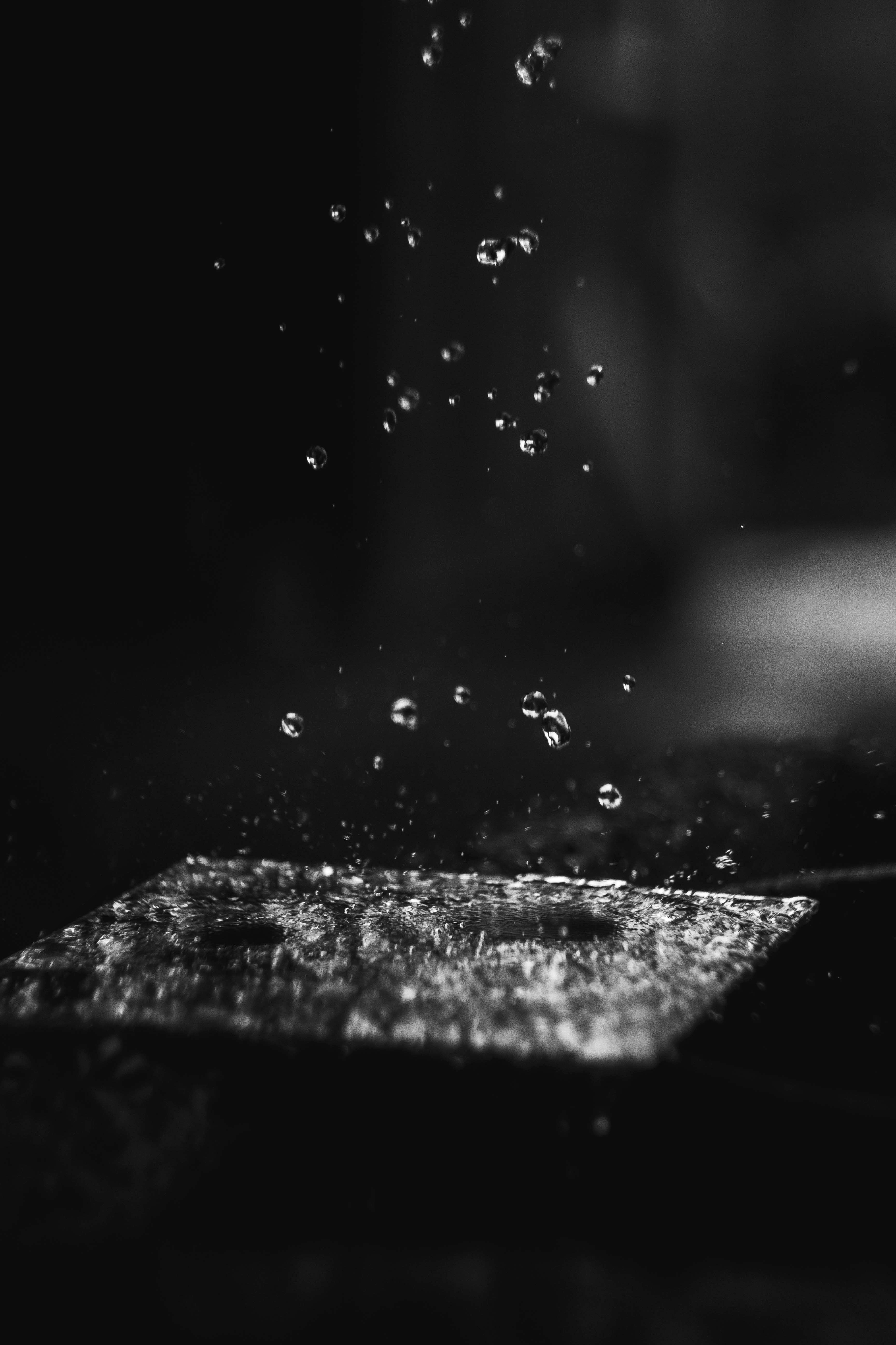 Catalina Morales (@catalive) | Komunitas Foto Unsplash