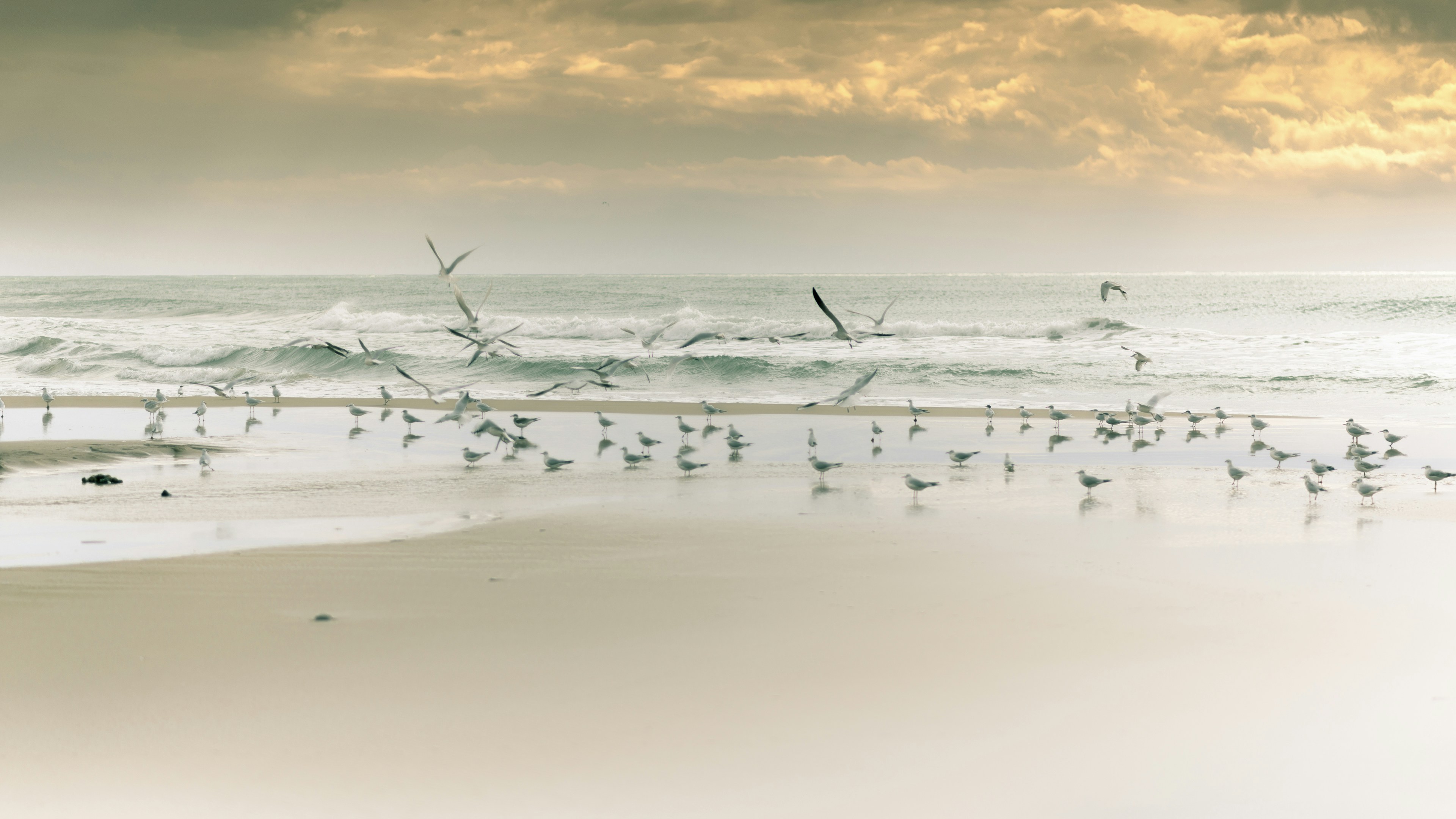 Dusk Chorus Over a Quiet Tidal Line