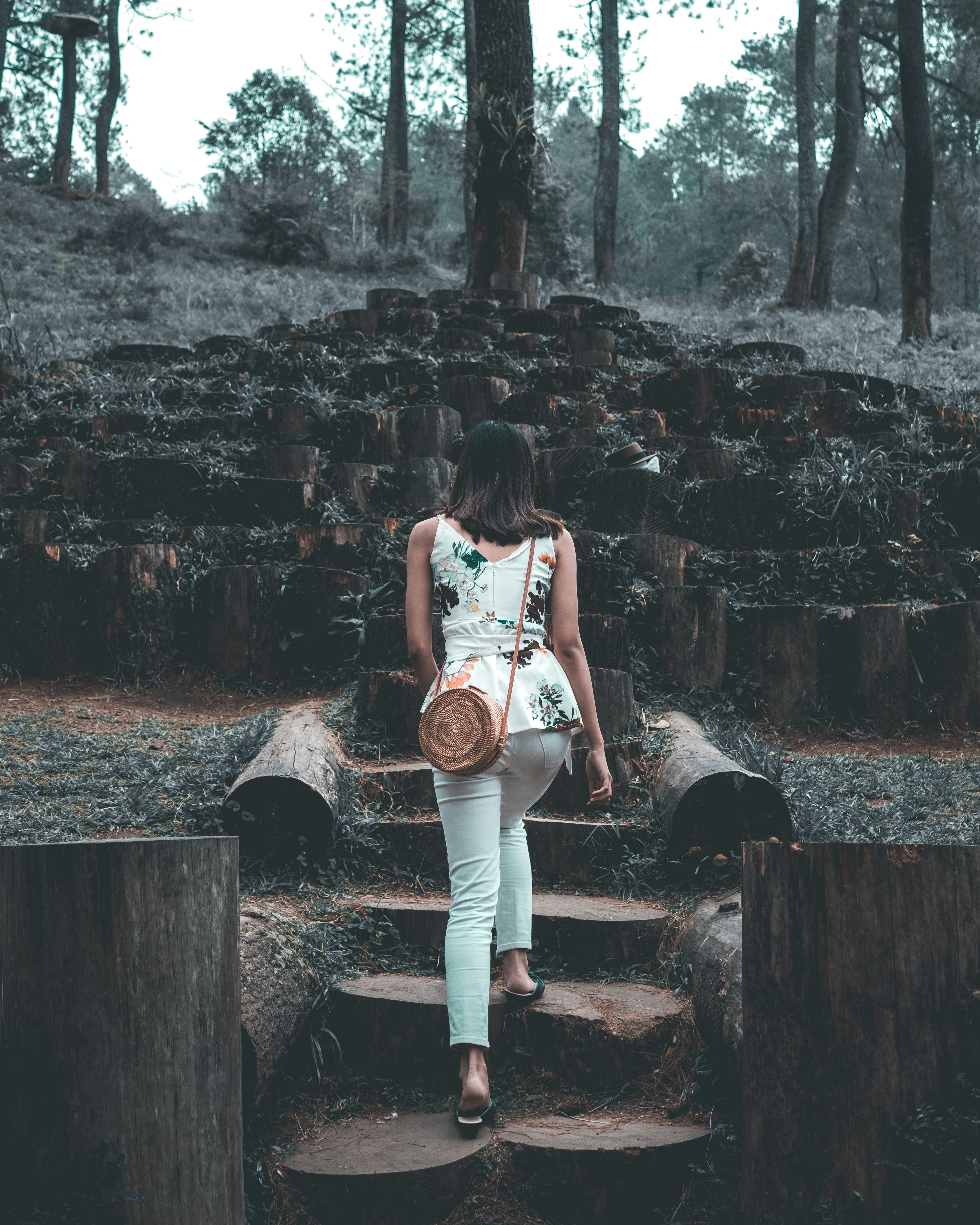 We were on our way to Orchid Forest Cikole, Lembang Bandung, it was 9:00am in the morning in Bandung. We were looking for some cool photo spots and my girlfriend Karina found an  awesome tree wood. The photo makes me feel relaxed, in a city that never sleeps people forget about this awesome place.