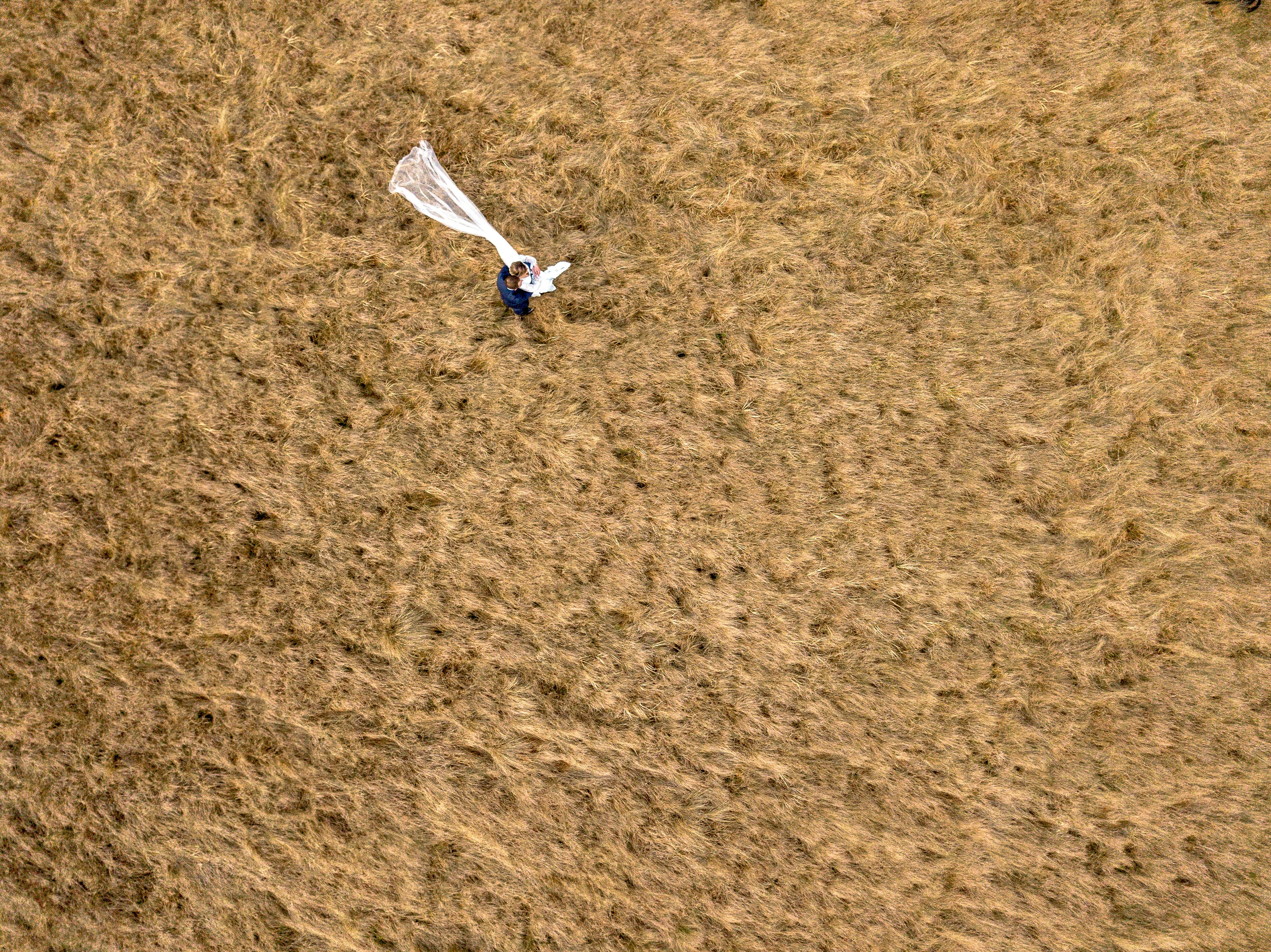 A person stands amidst a vast field of golden grass, holding a flowing white fabric that contrasts beautifully with the earthy tones. The scene captures a moment of tranquility and connection with nature.