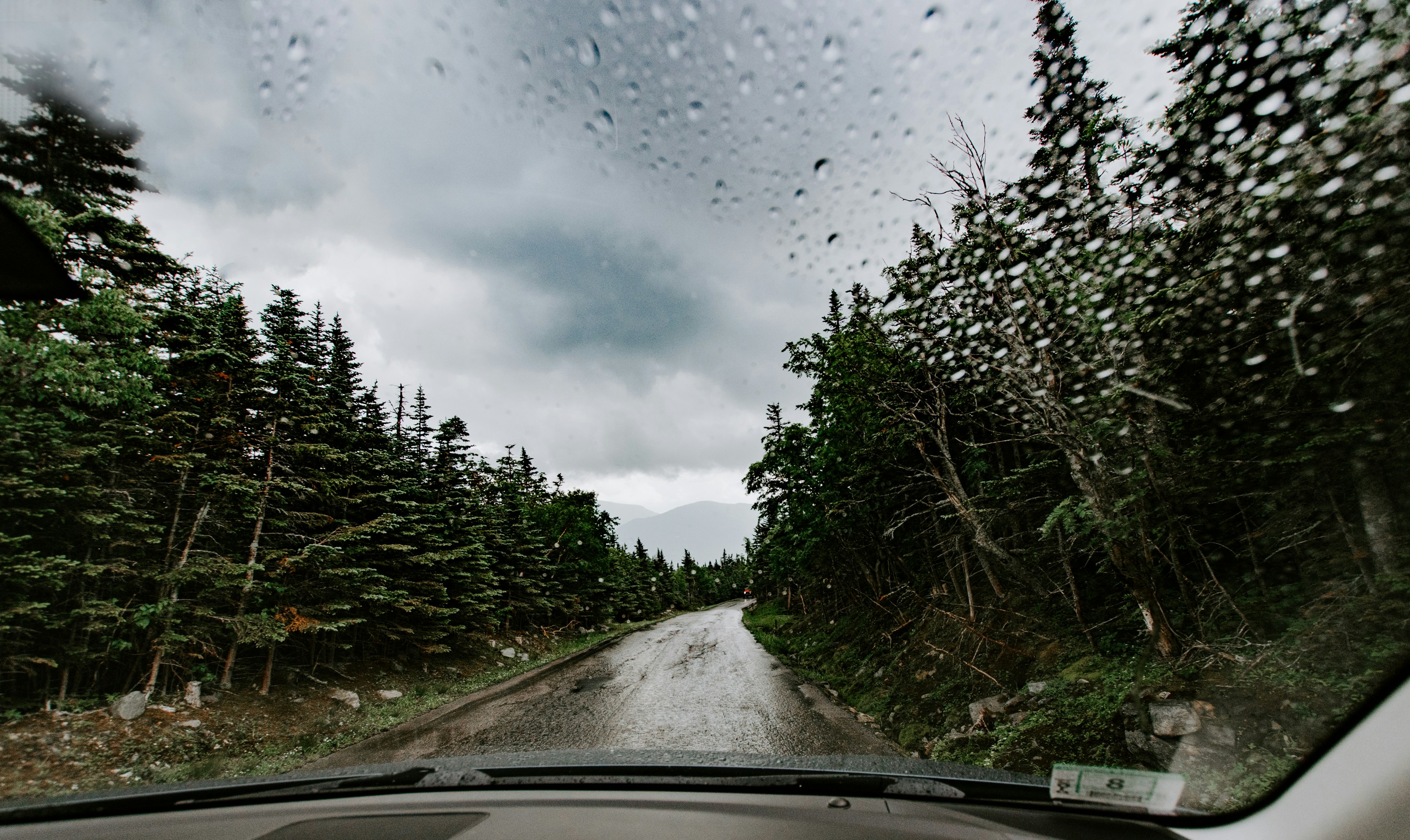 A wet dirt road winds through a lush forest, framed by towering trees and a moody sky. Raindrops cling to the windshield, adding a touch of atmosphere.