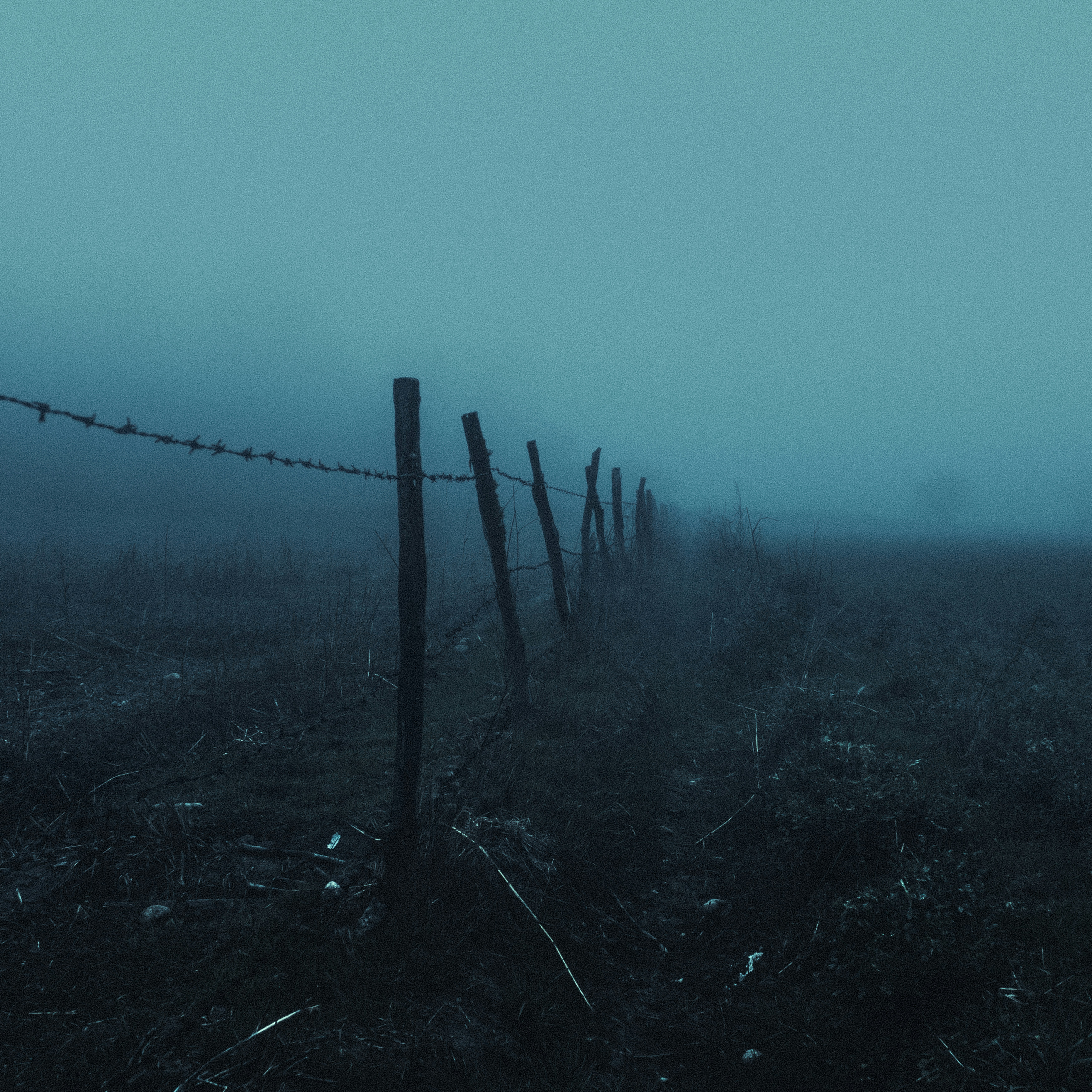 Gabriel (@natural) | Unsplash 사진 커뮤니티