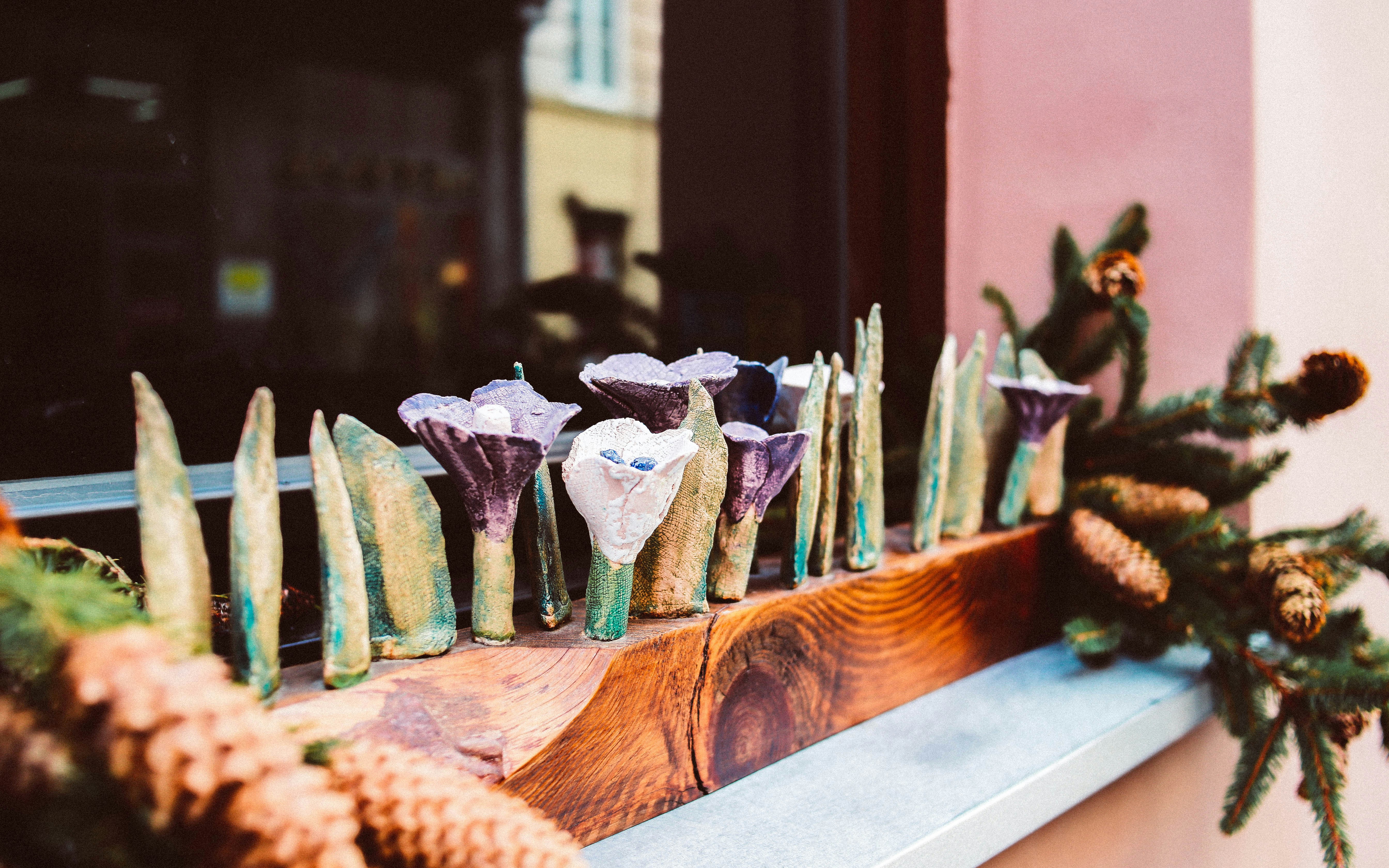Pastel Ceramic Fungus Line on a Weathered Beam