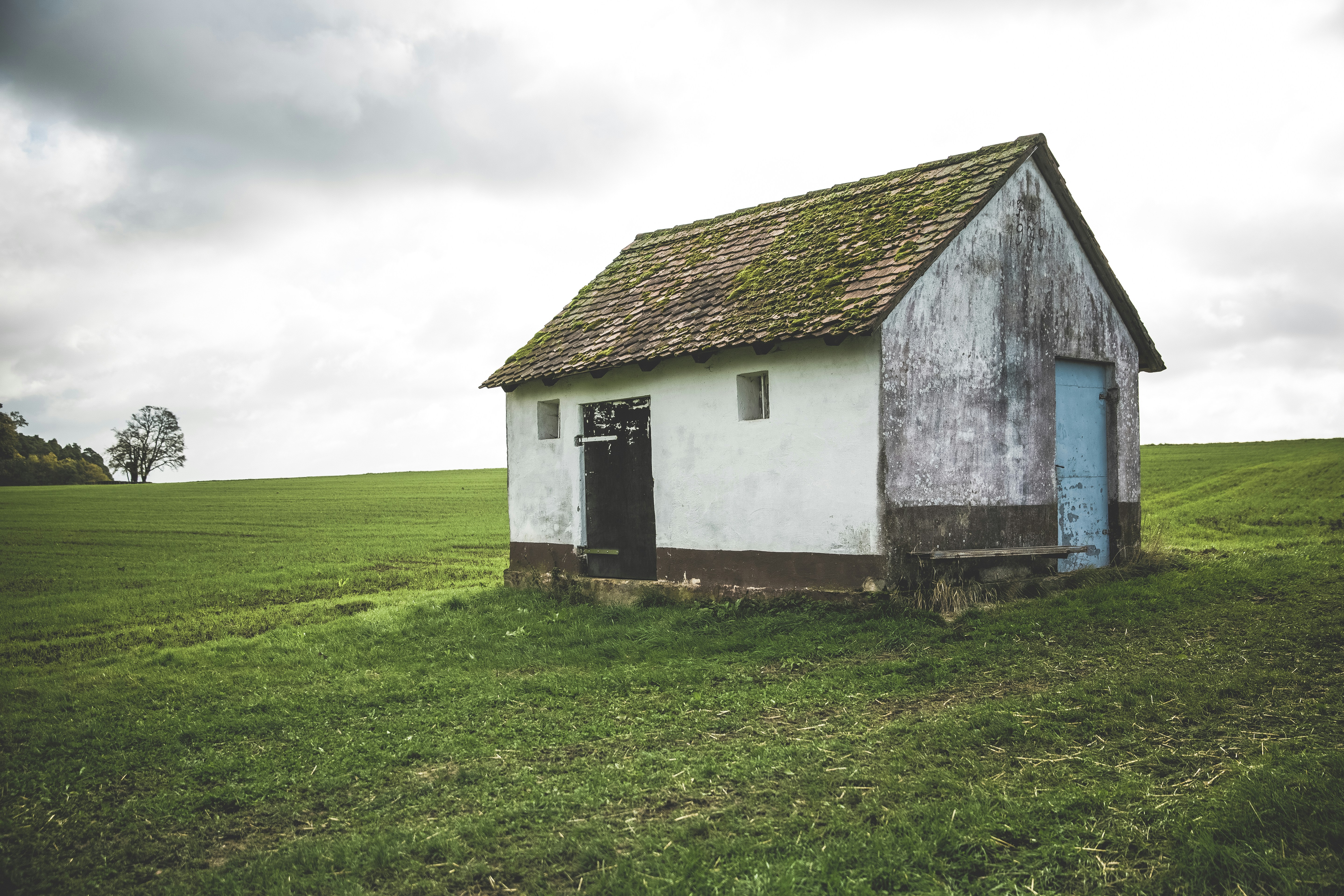 brown and white wooden shed on field of grass