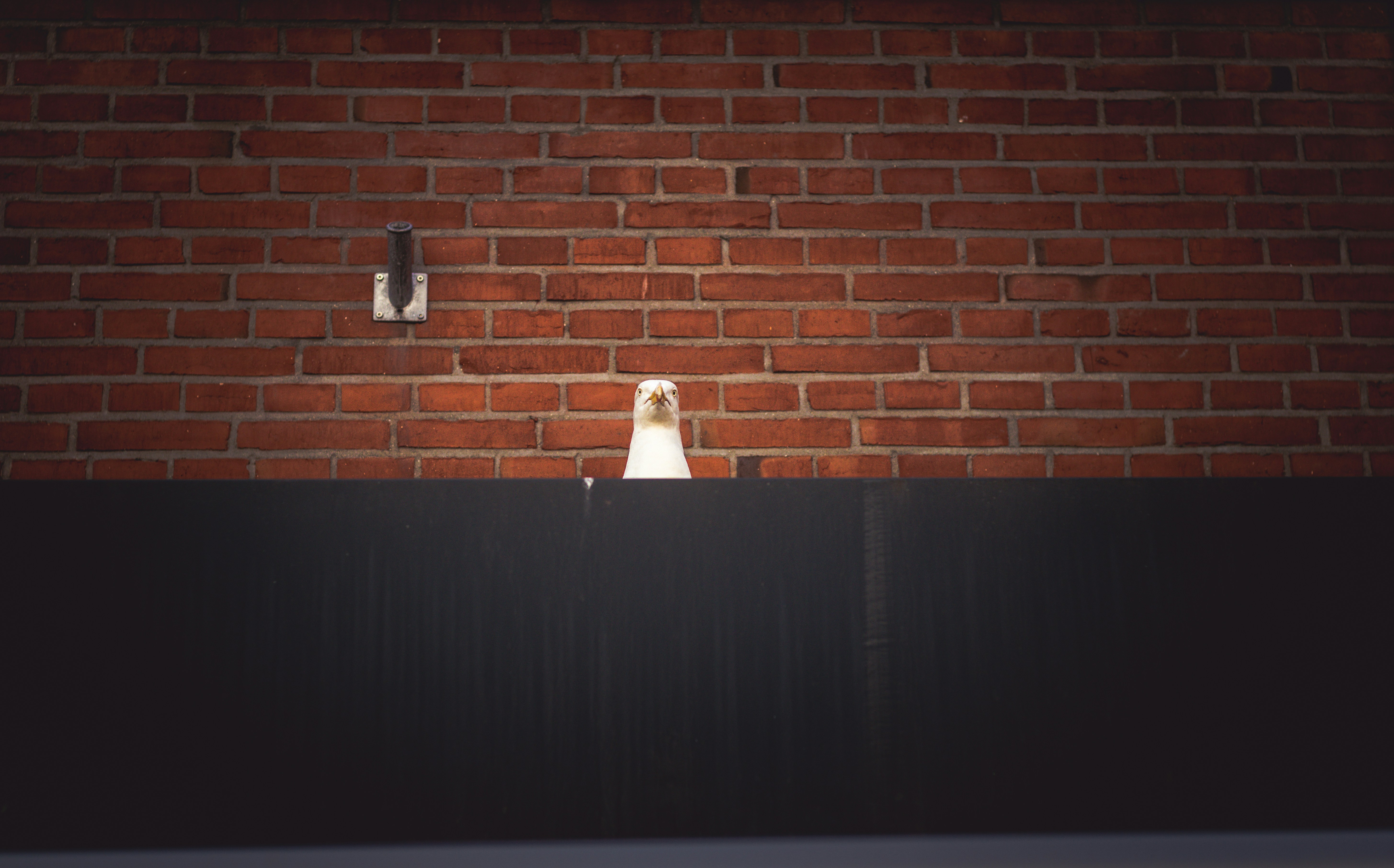 A lone light fixture stands atop a dark barrier against a backdrop of textured red brick, creating a striking contrast in an urban setting.