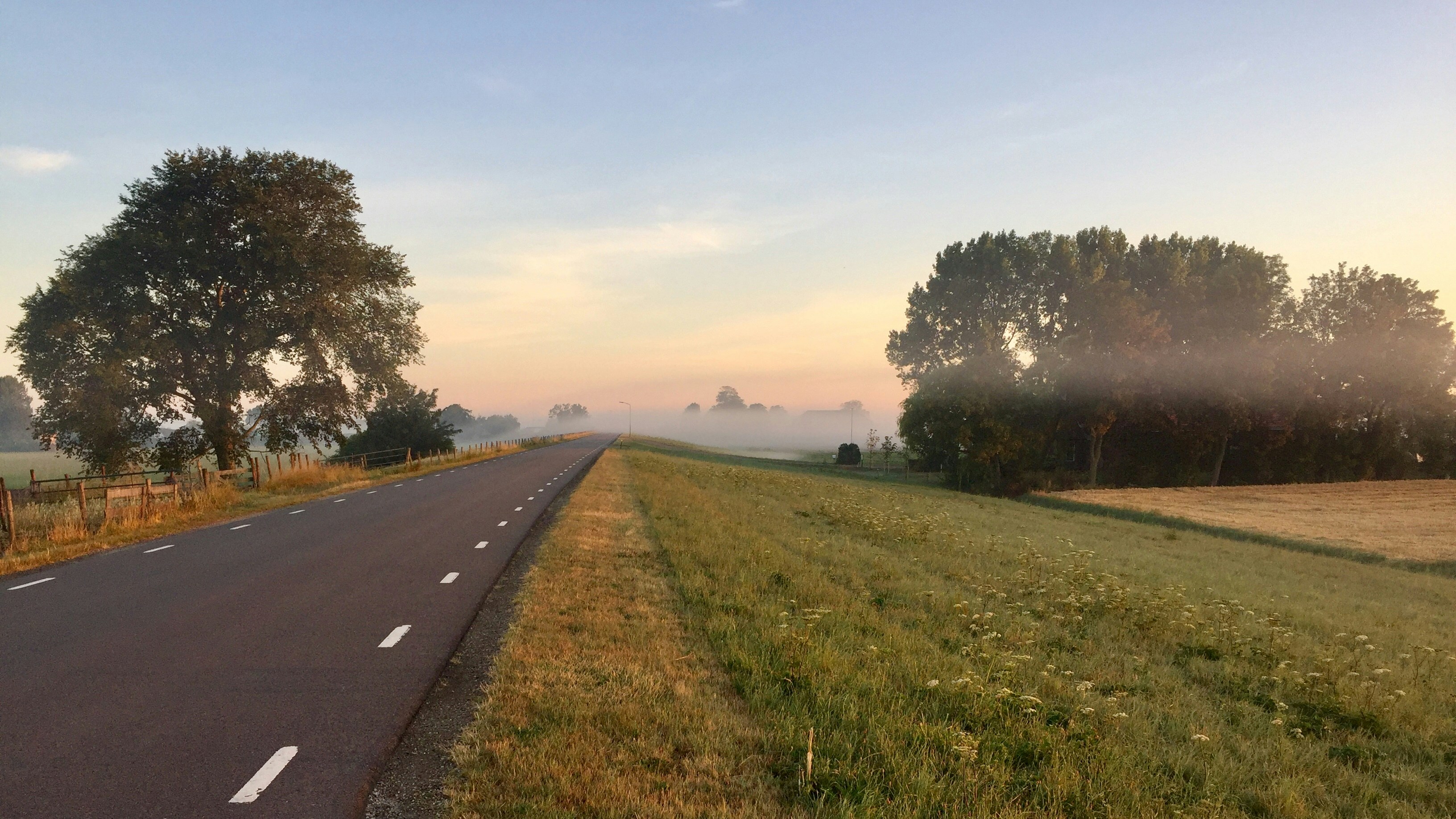 Dawn's Long Track: Highway into a Misty Horizon