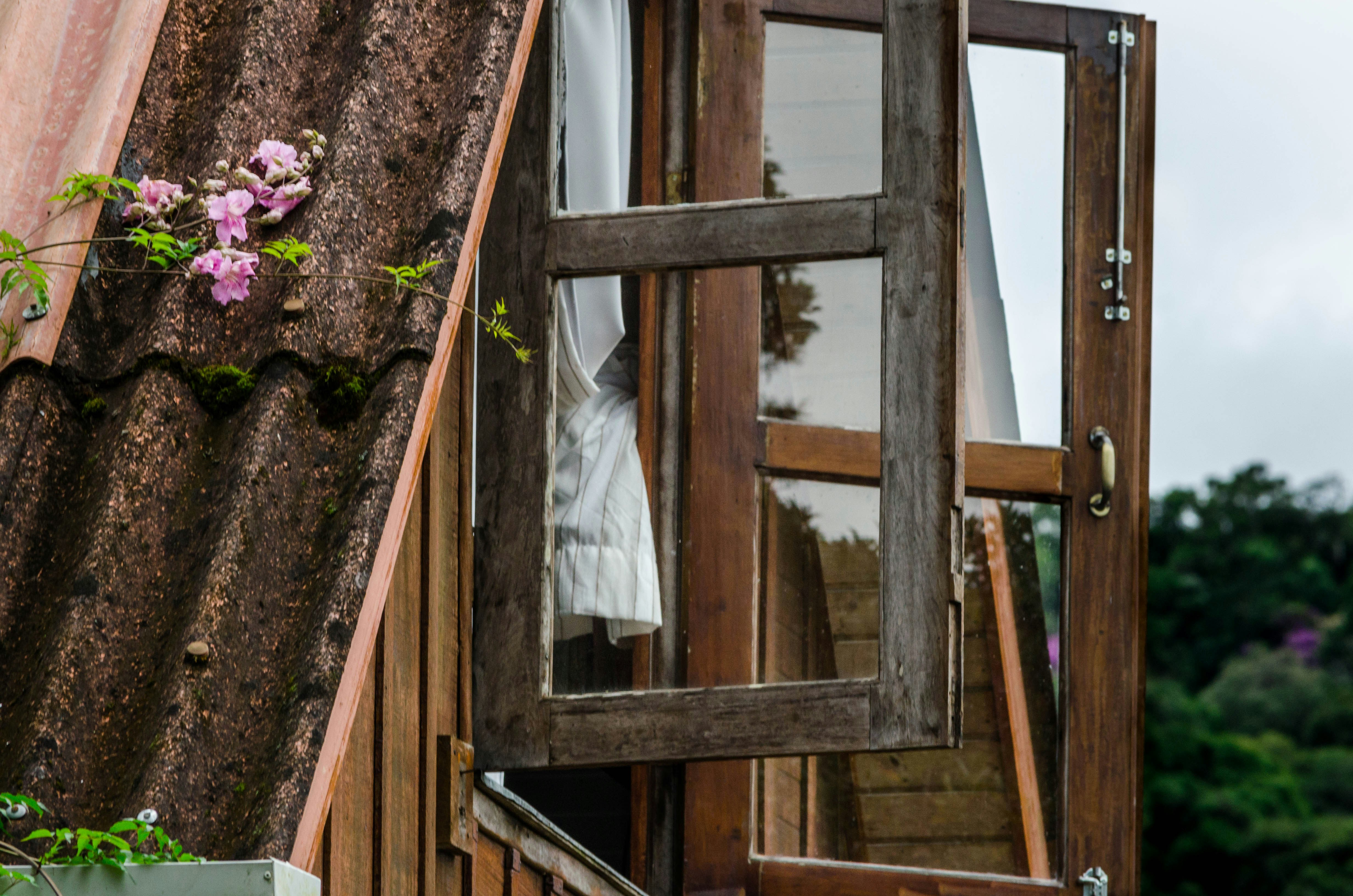 Weathered Wood Aperture: An Open Window Framed by Pink Climbers