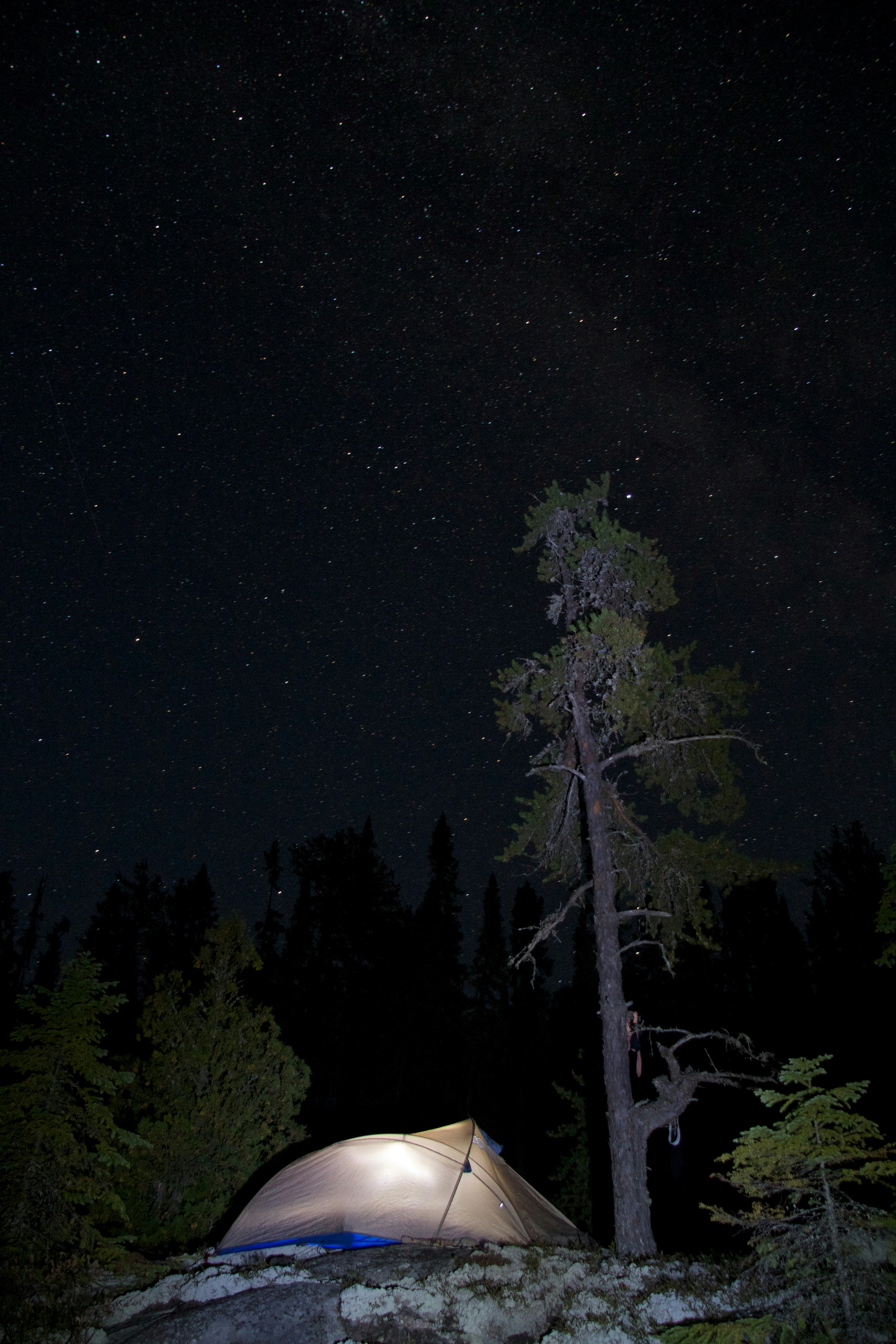 Illuminated tent beneath a star-filled night sky in a forest setting.