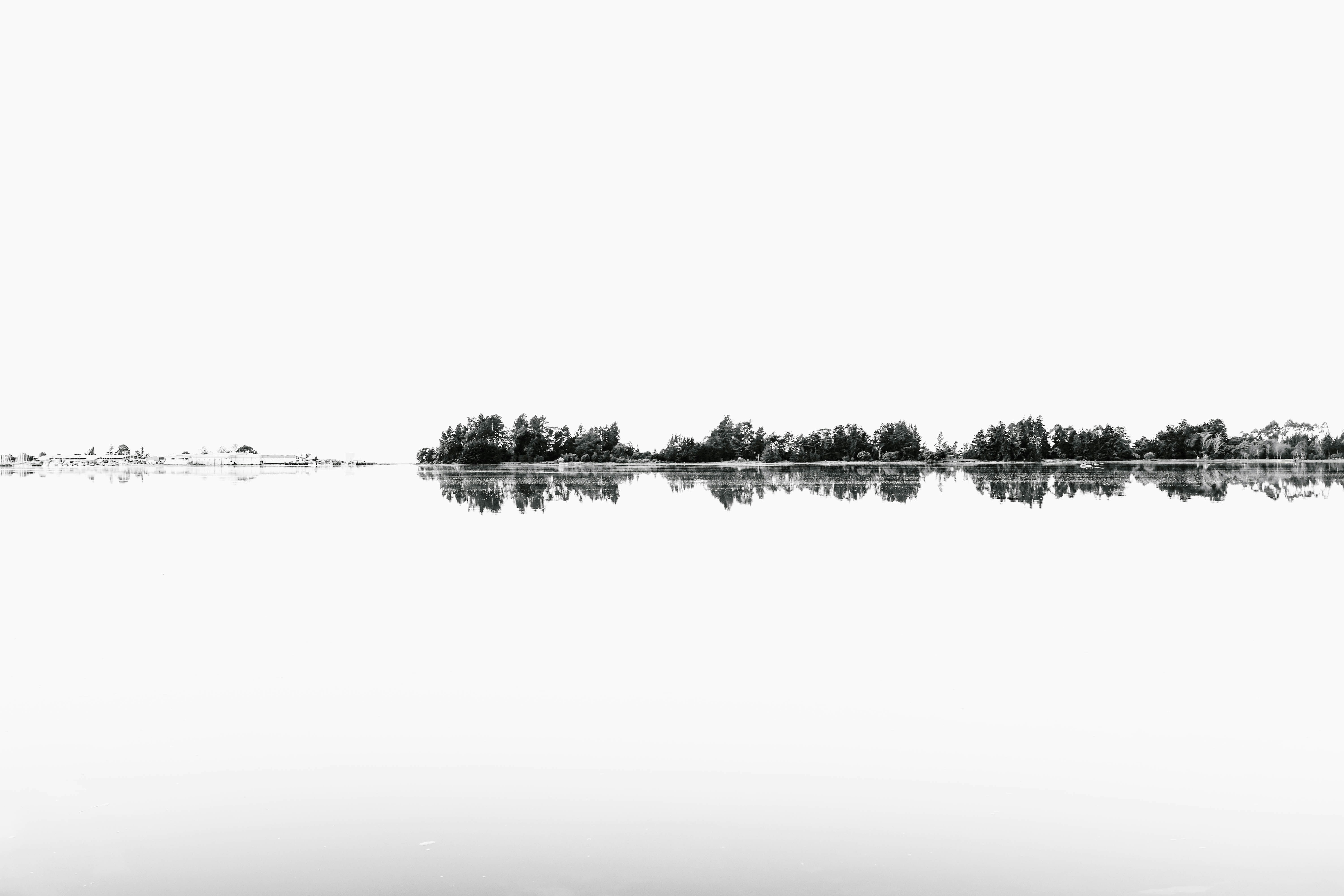 Silhouetted treeline reflected perfectly on a calm, expansive lake under a bright sky.