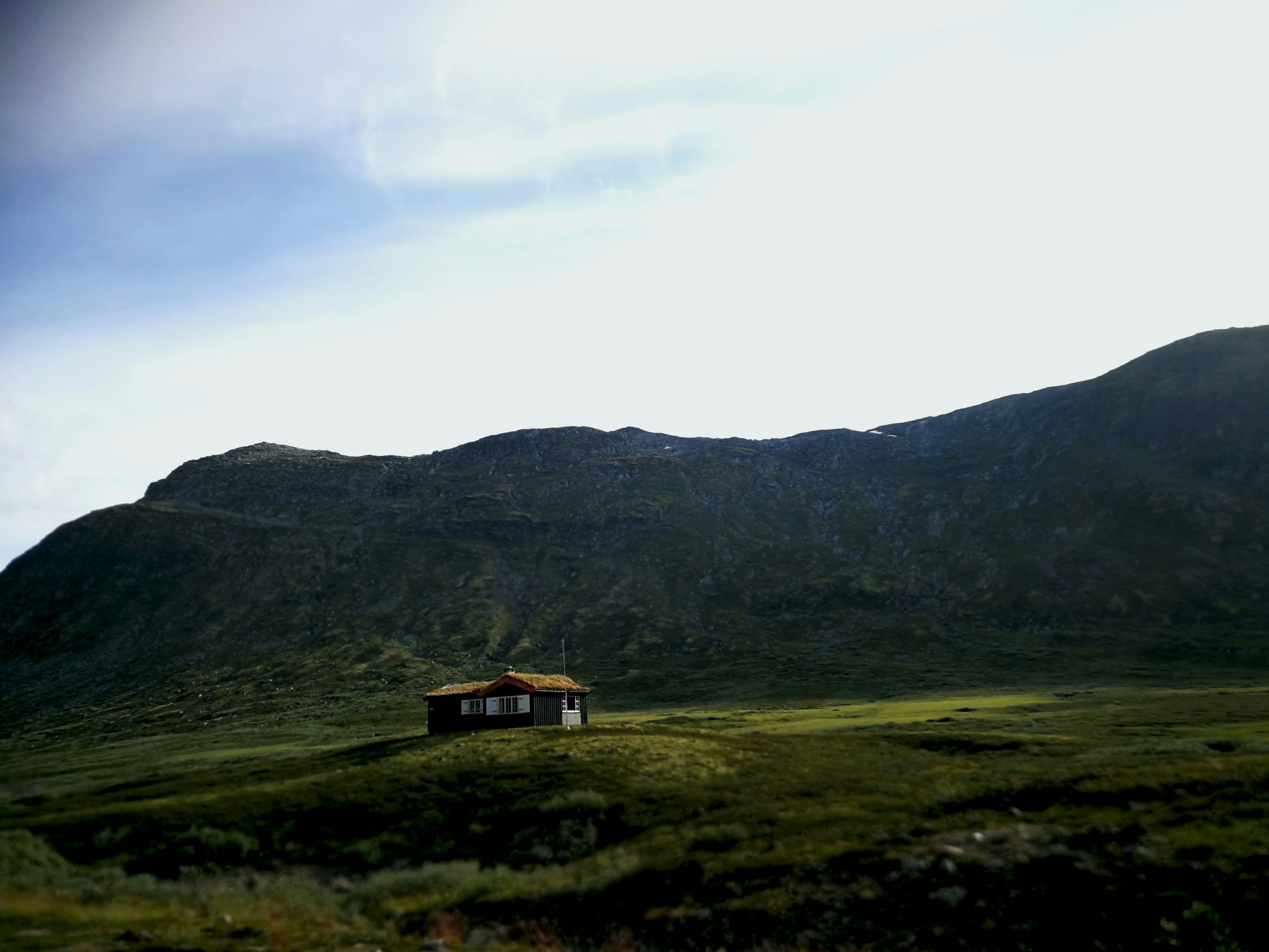 Alex Lehner (@flying_penguin) | Comunidad de fotos de Unsplash