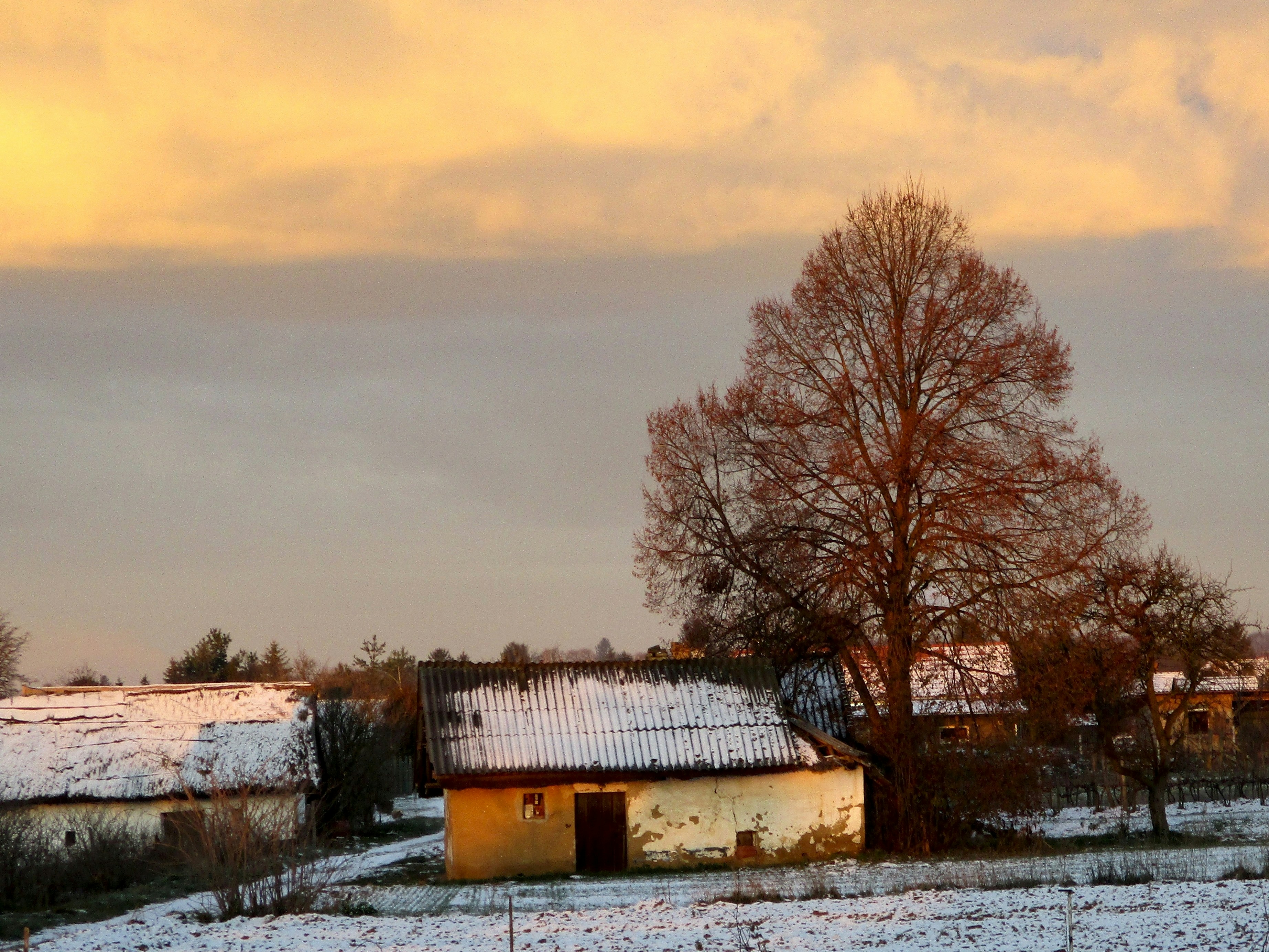 A solitary, snow-covered cottage stands amidst a winter landscape, framed by a bare tree under a soft sunset sky.