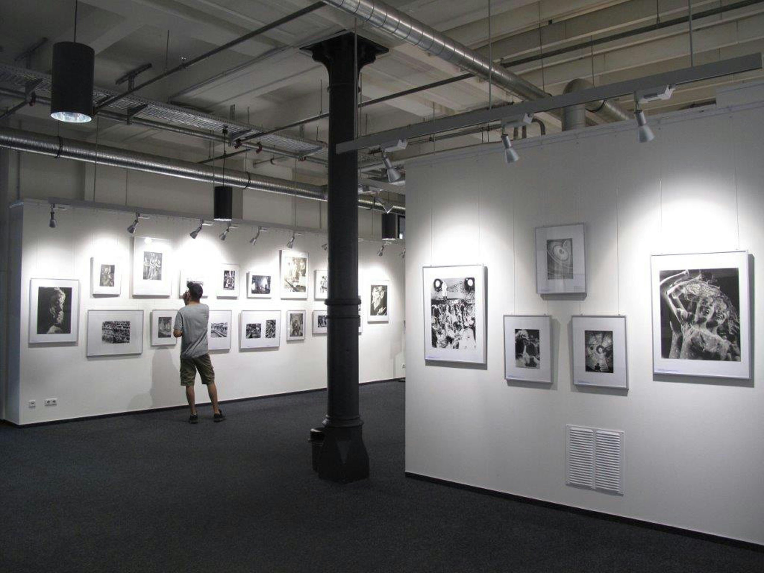 Maja R. (@majas) | Unsplashフォトコミュニティ