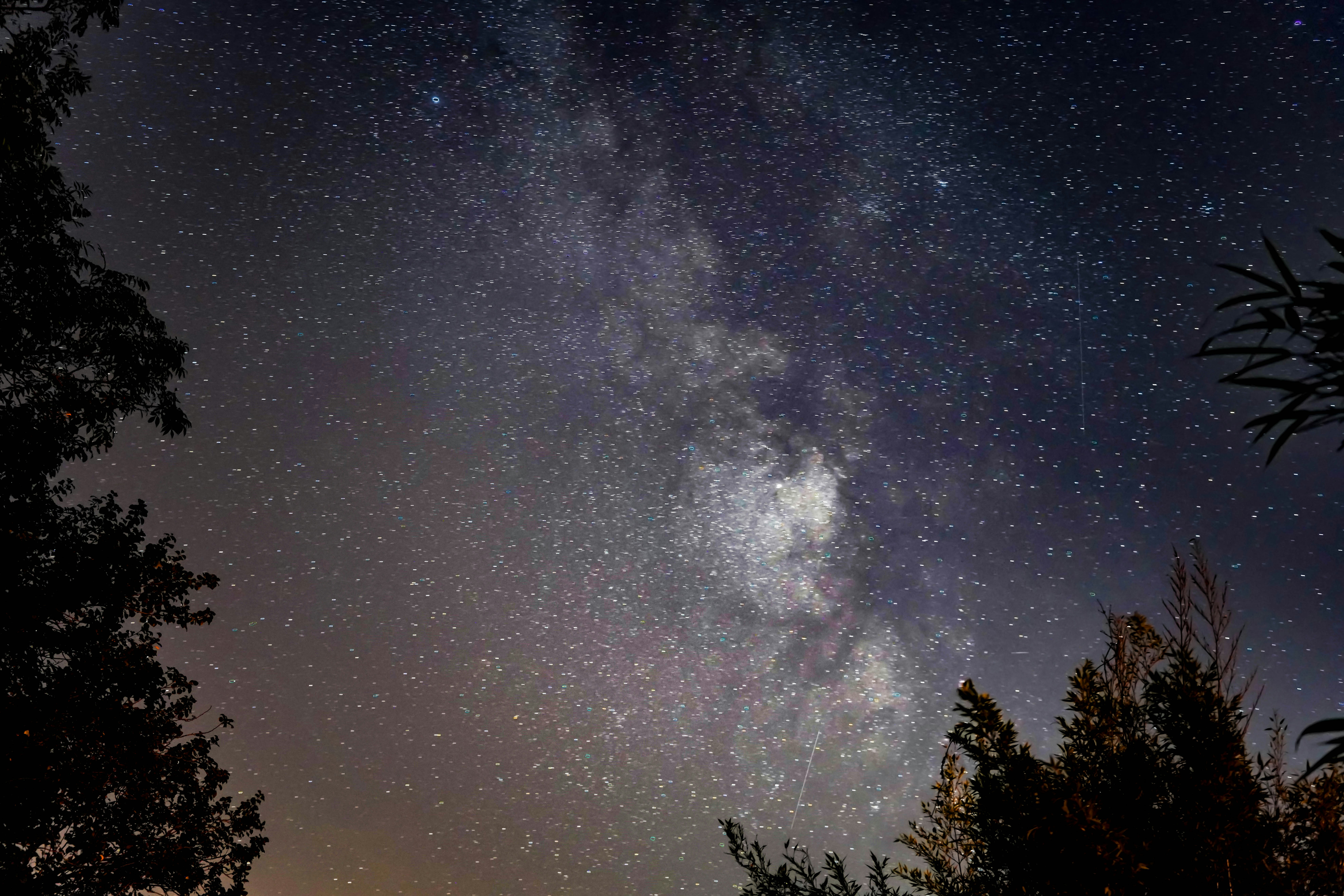 Milky Way galaxy stretches across a starry night sky with silhouetted trees framing the scene.
