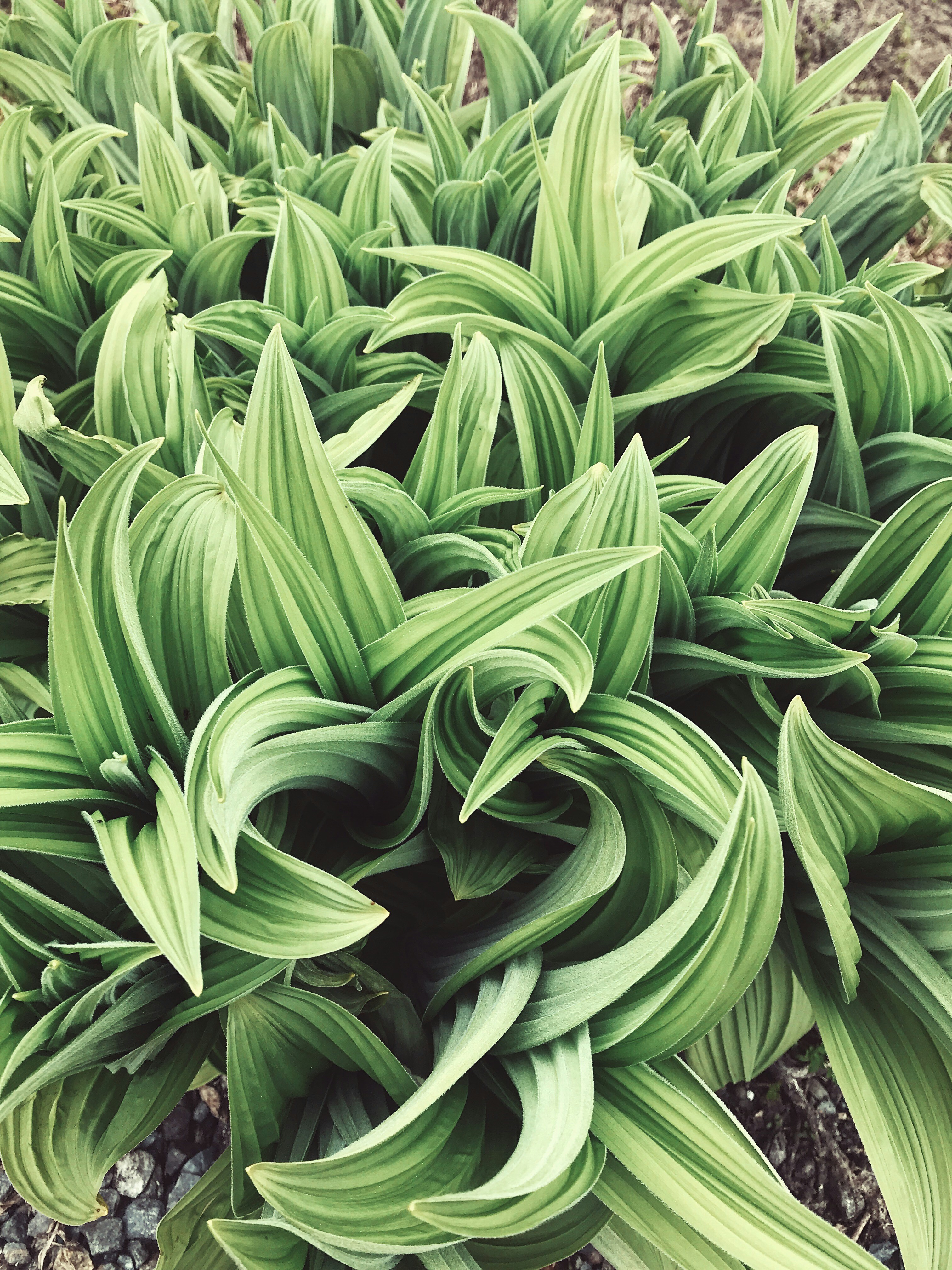 Devin Anding (@mytwinlensphotography) | Komunitas Foto Unsplash