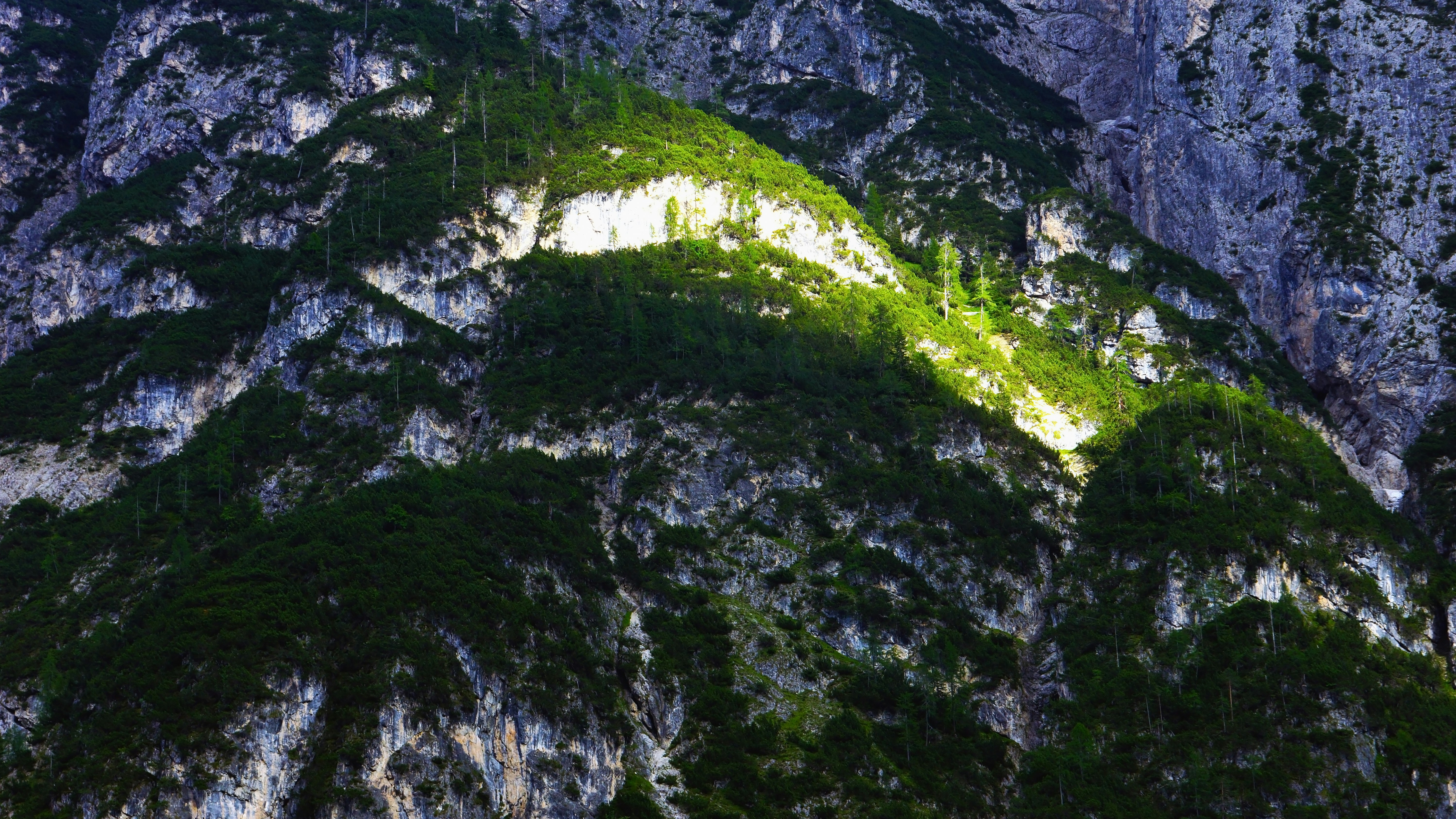 mossy rock formation