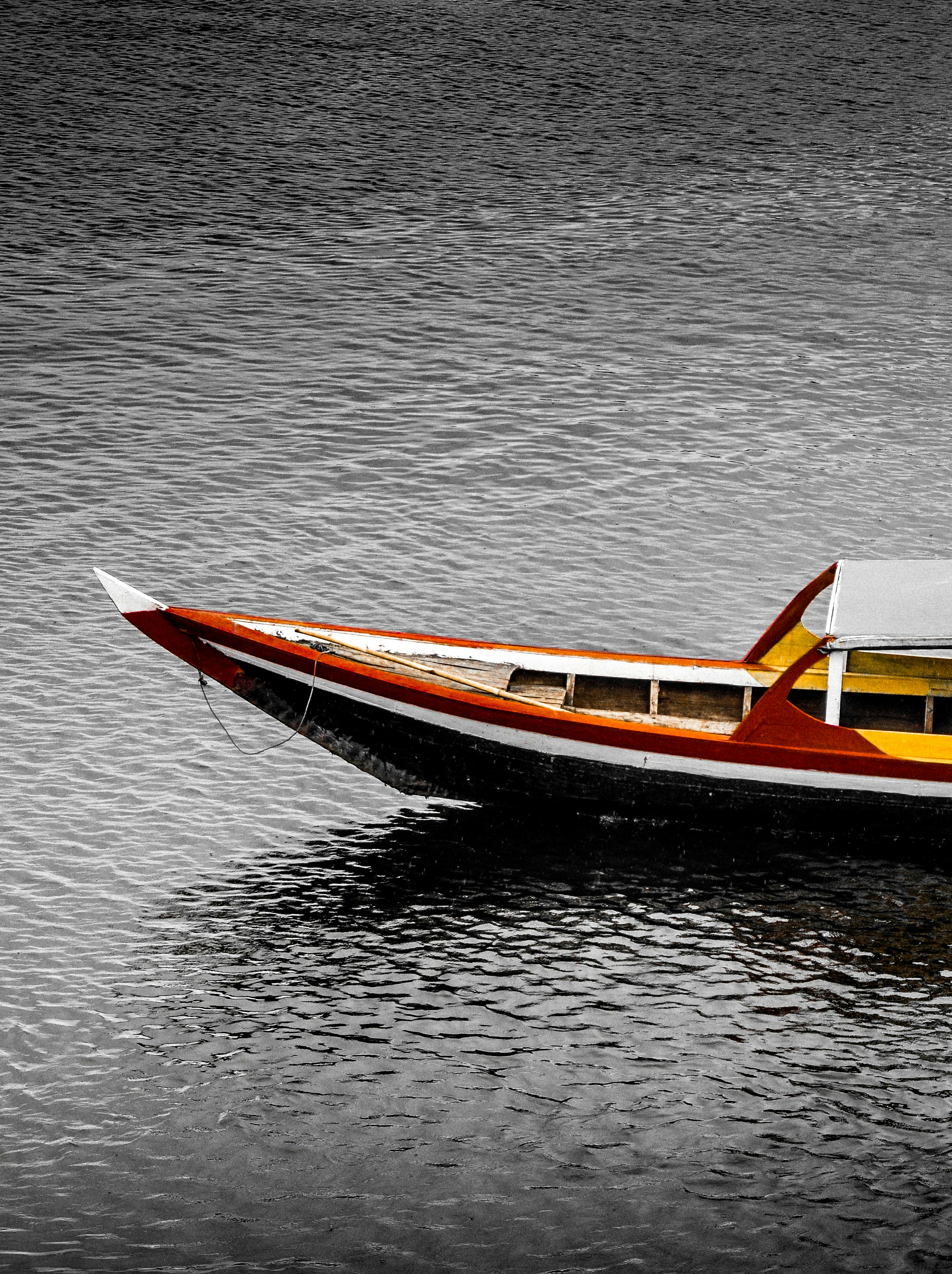 Crimson Bow on a Quiet Gray Lake