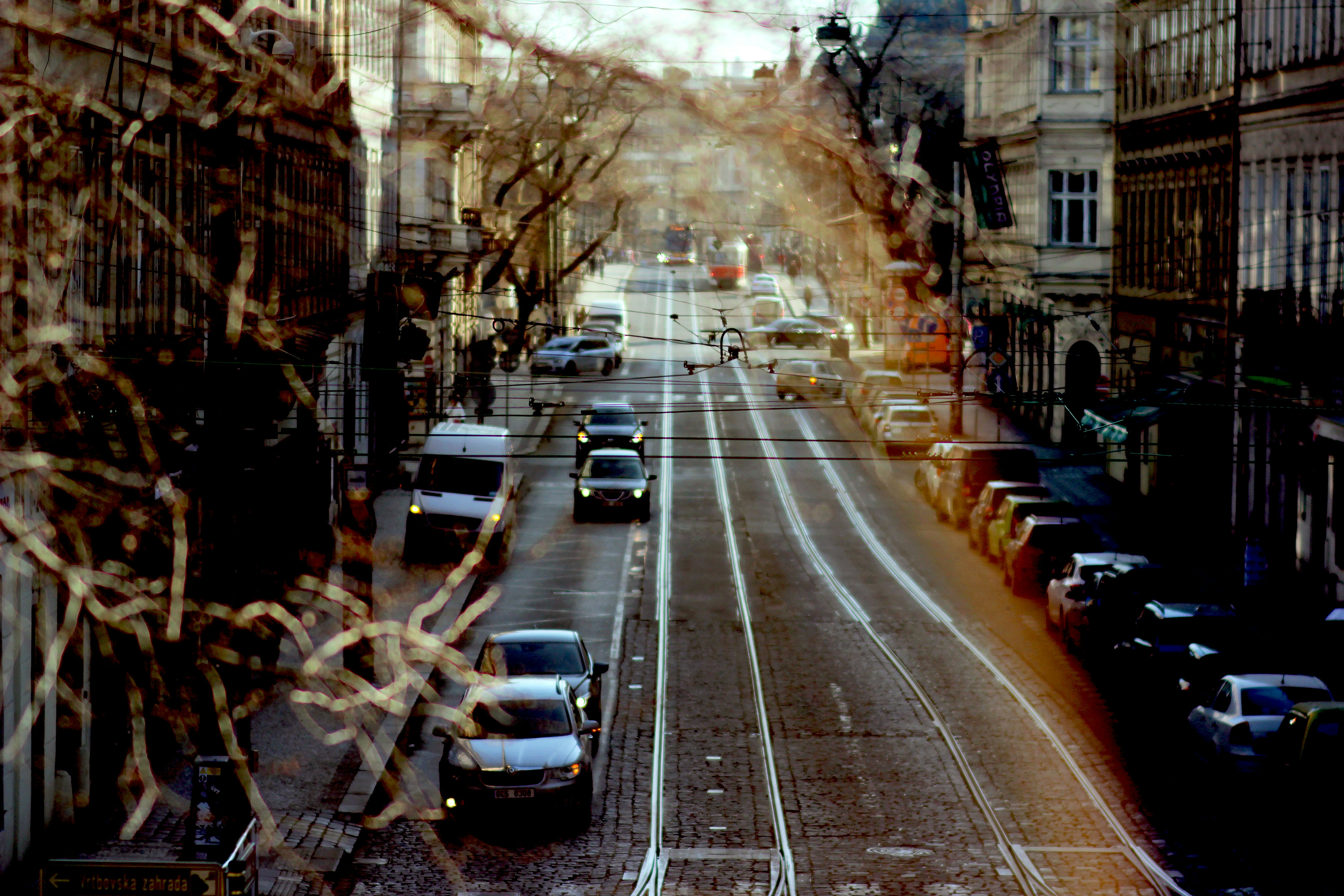 City street with cars and tram tracks, overlaid with bare tree branches in a reflective effect.