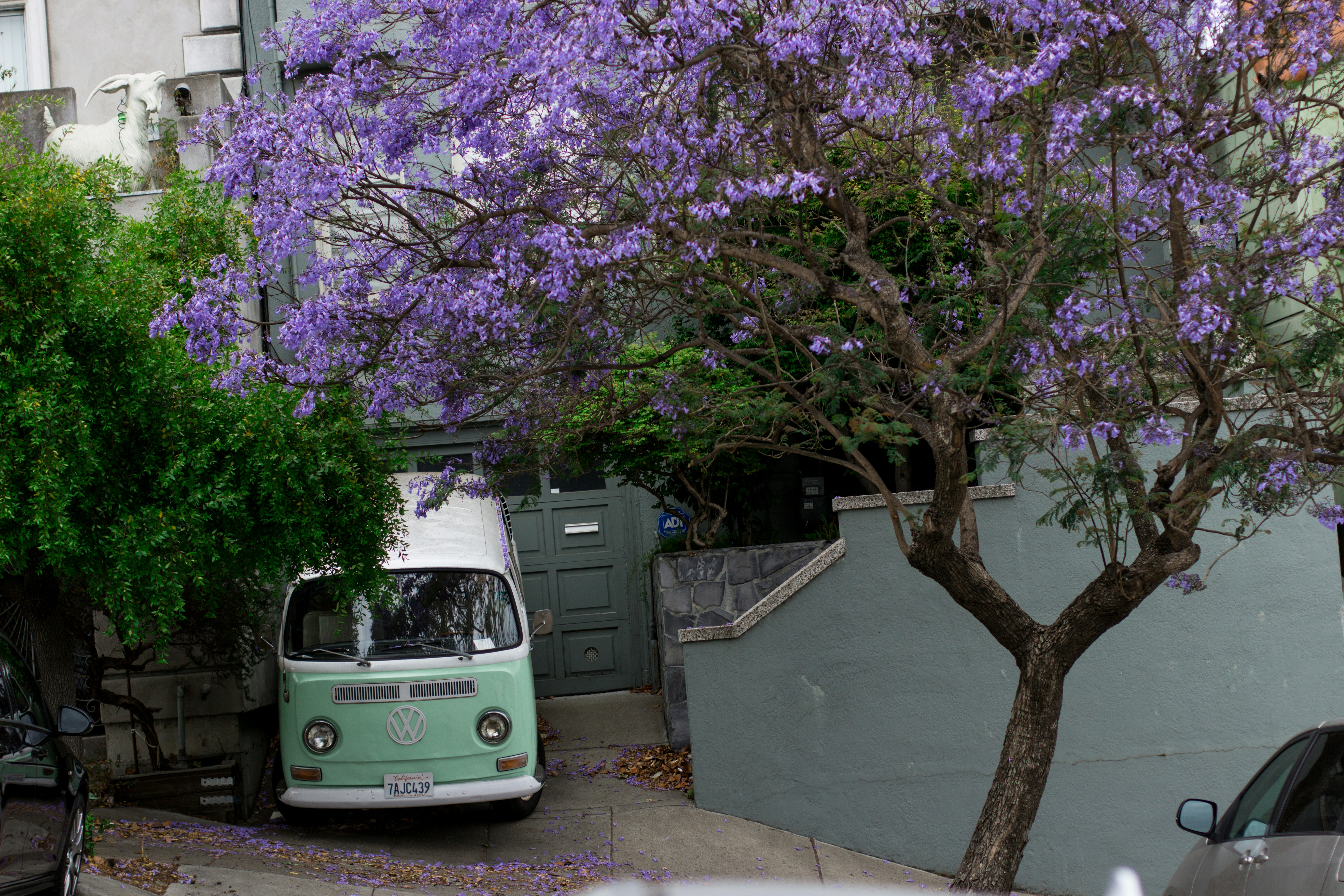 Helwani Nose | Ariel Helwani | Substack