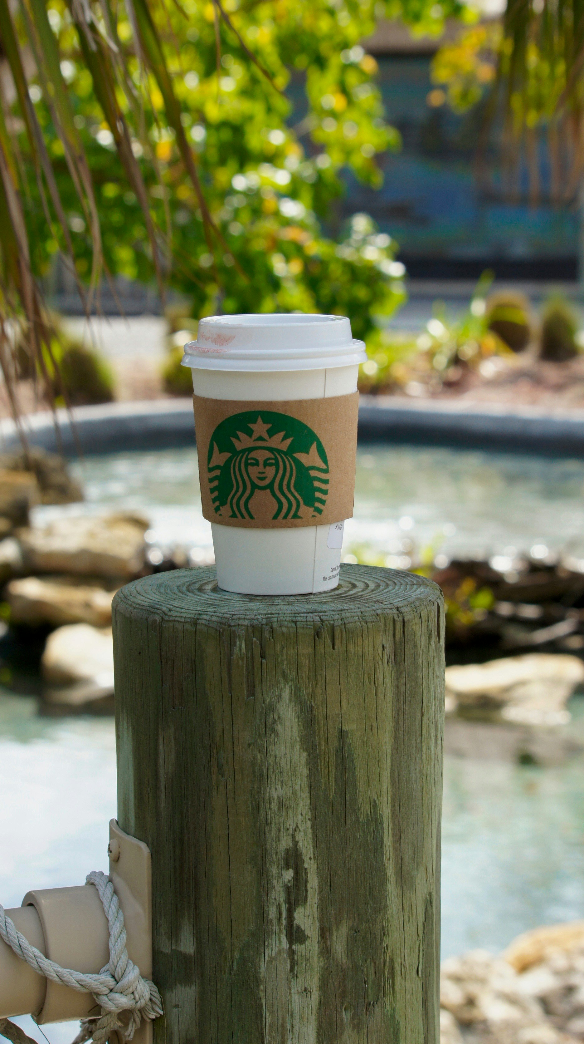 Starbucks coffee cup resting on a wooden post with a serene water backdrop and lush greenery.