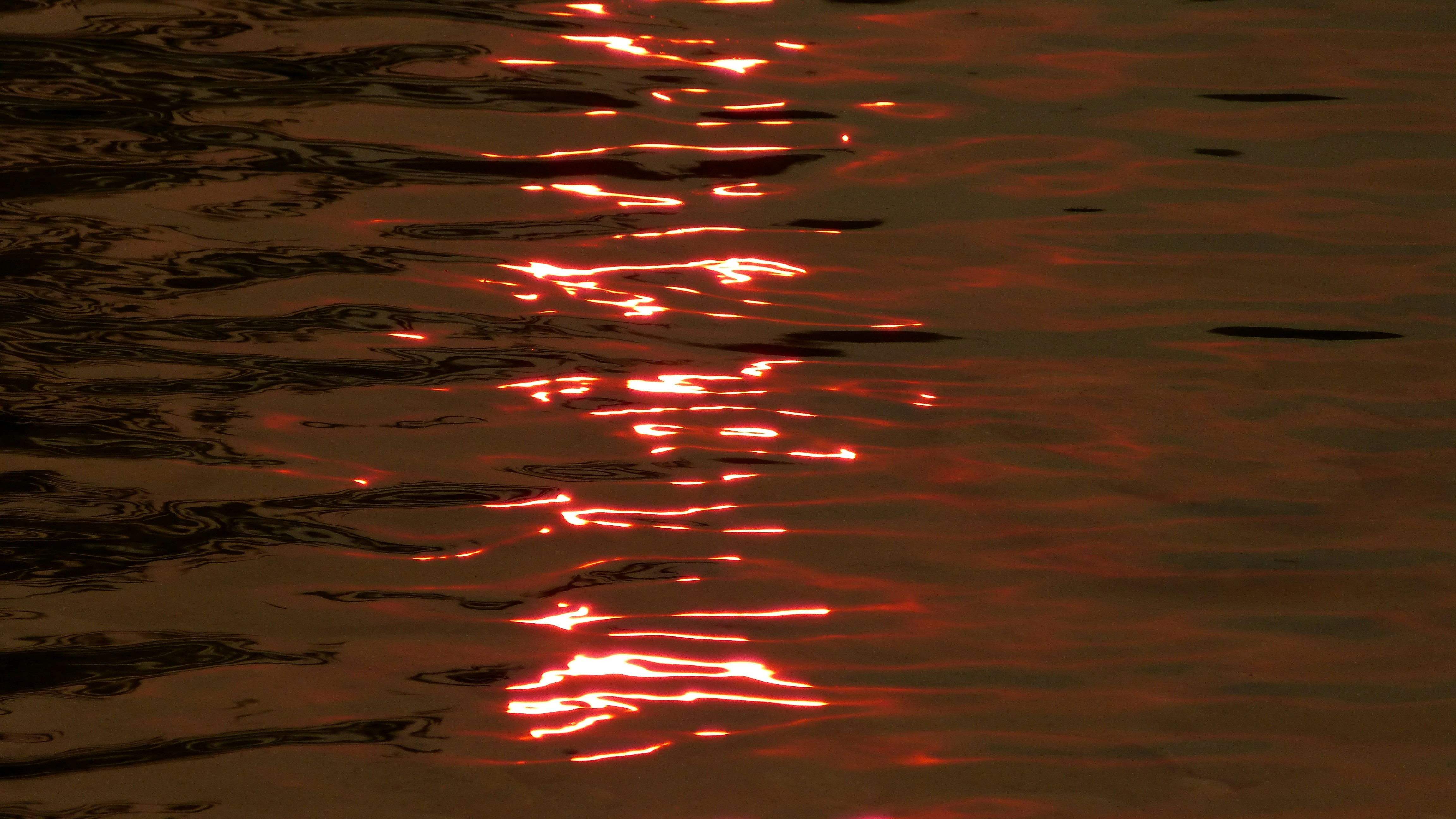 Glittering reflections on water surface illuminated by twilight. The rhythmic waves create a mesmerizing pattern of light.