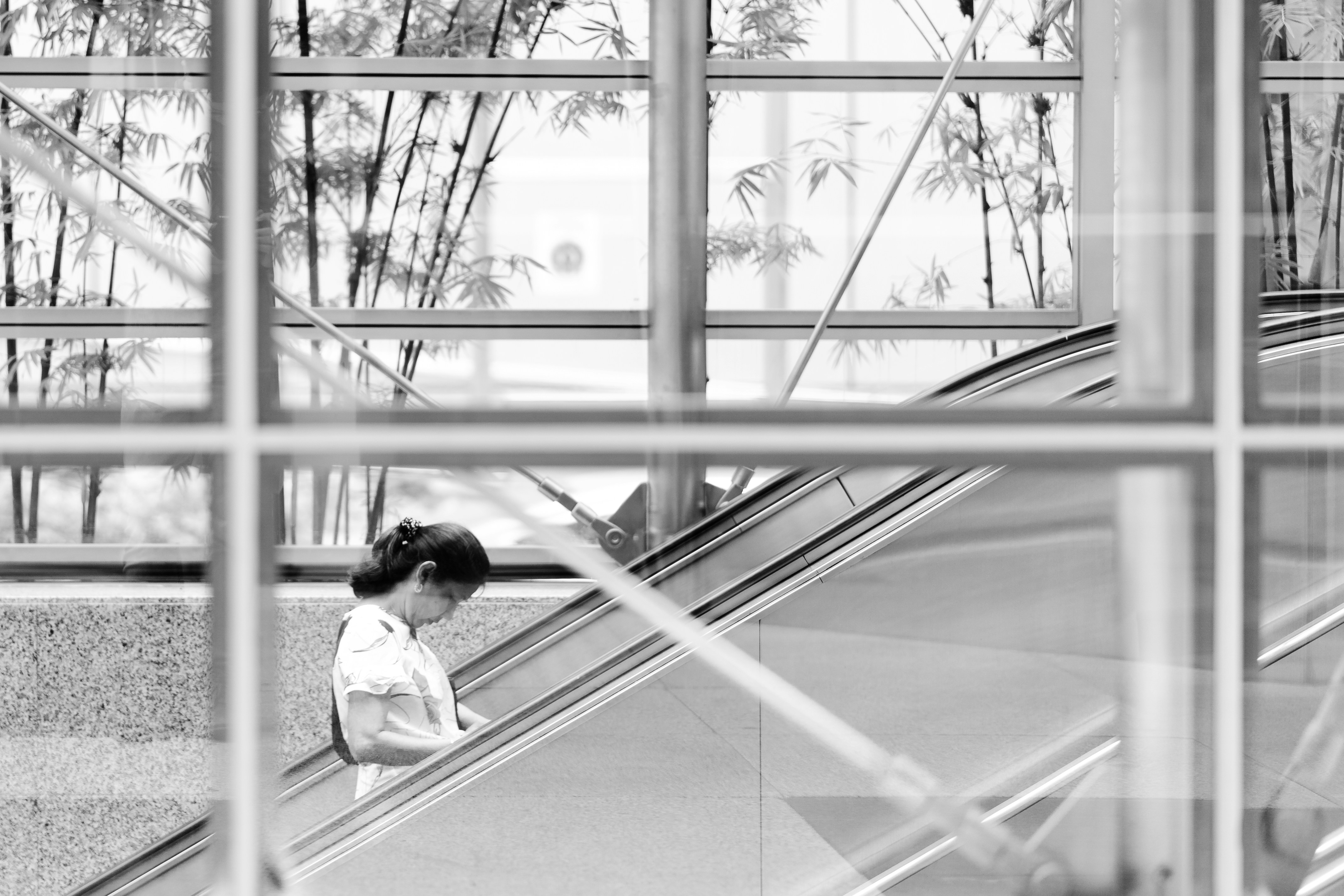 Woman absorbed in her phone while ascending an escalator, framed by modern architectural elements and greenery.
