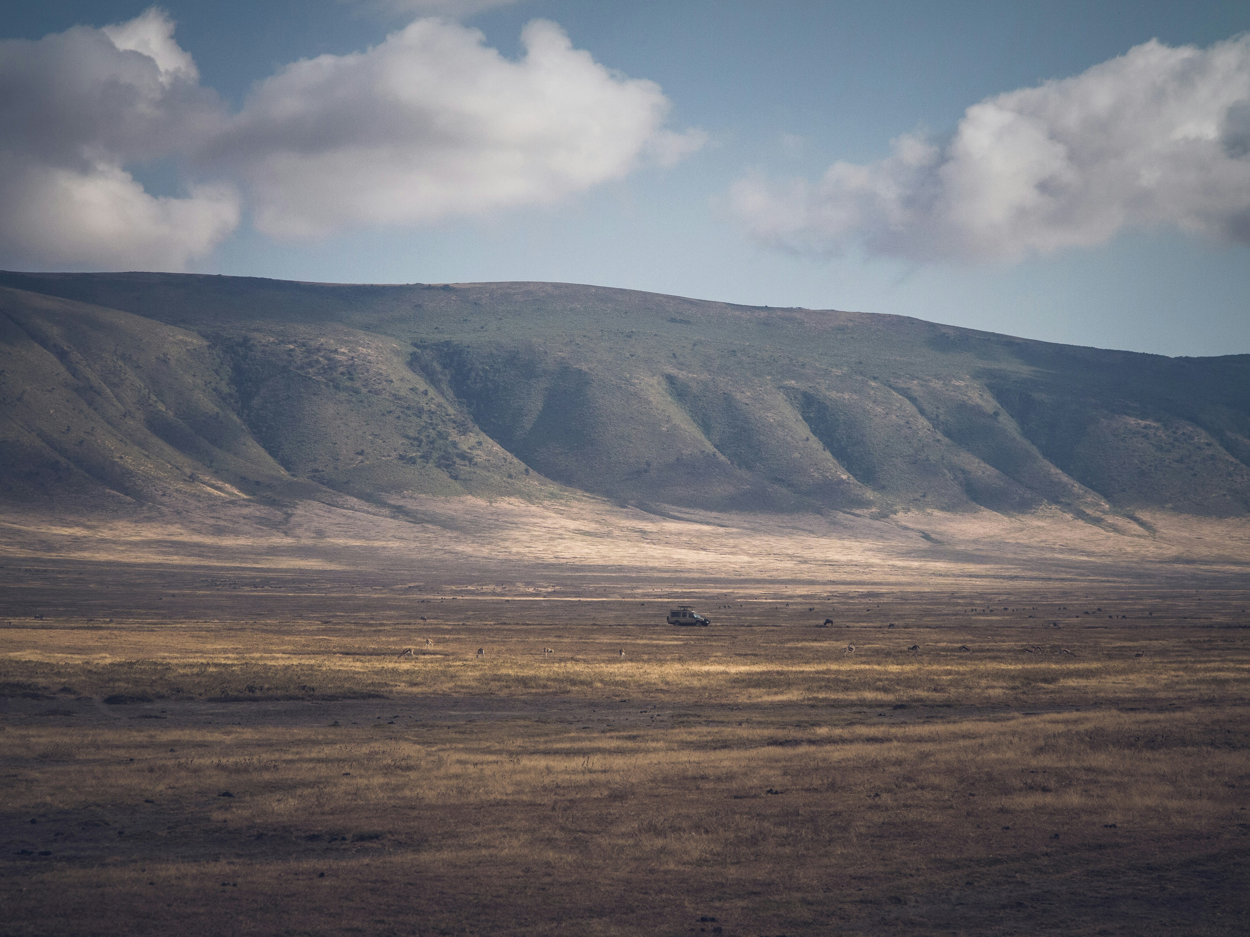 Expansive view of Ngorongoro Crater's grassy plains under a sky dotted with clouds.