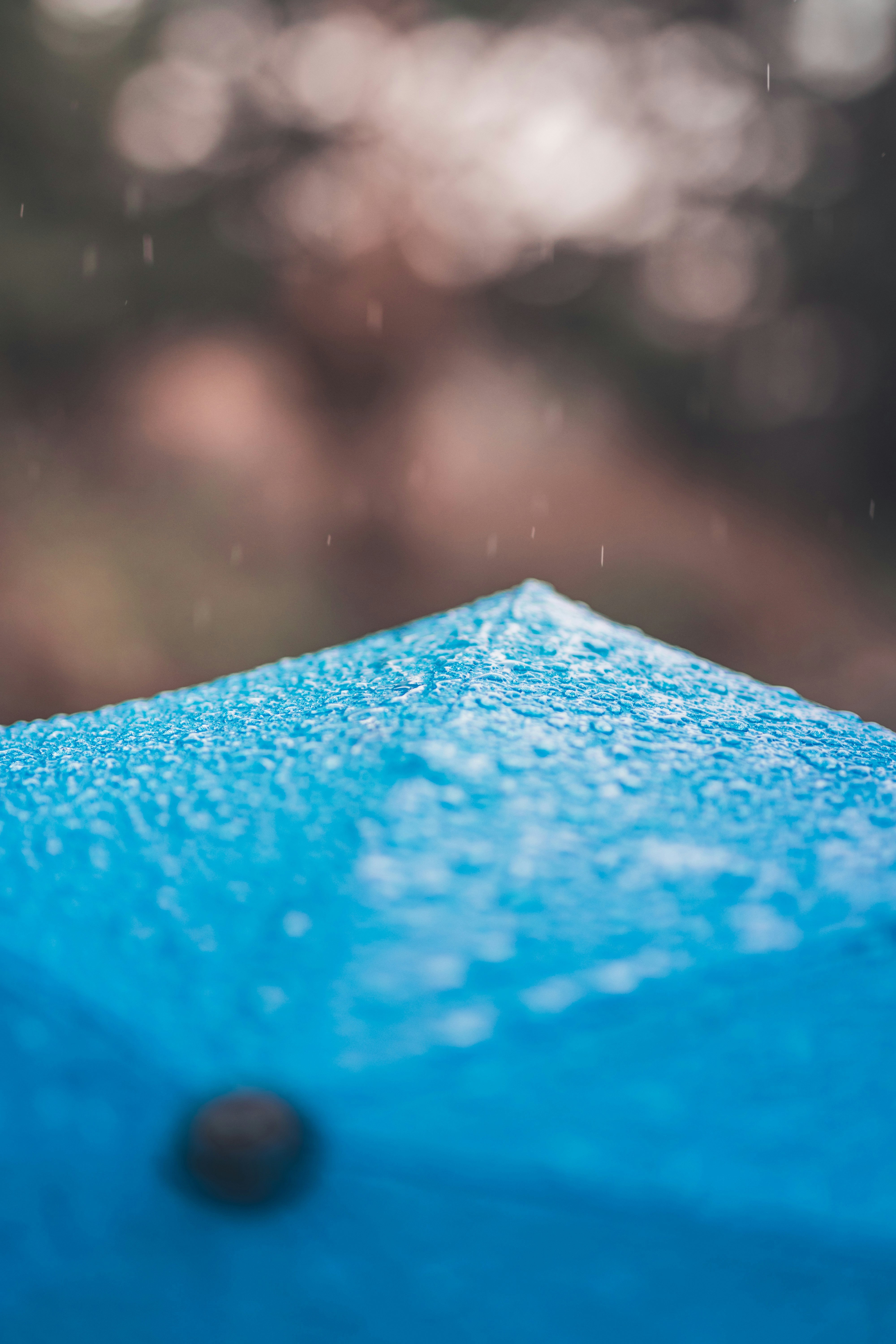 Blue Umberella | shallow focus photography of blue umbrella