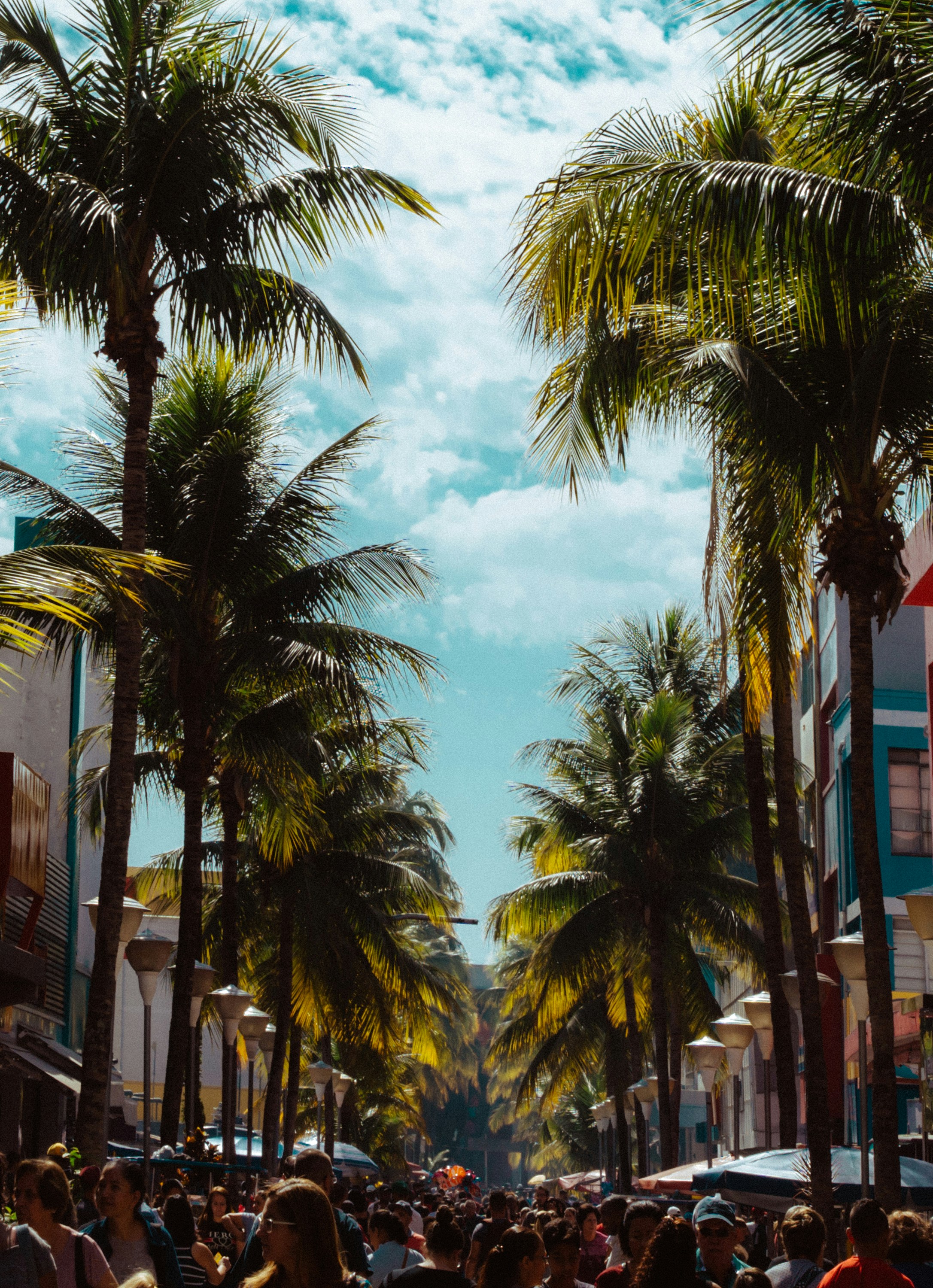 Sunlit Palm Boulevard Amid a Bustling Tropical Crowd