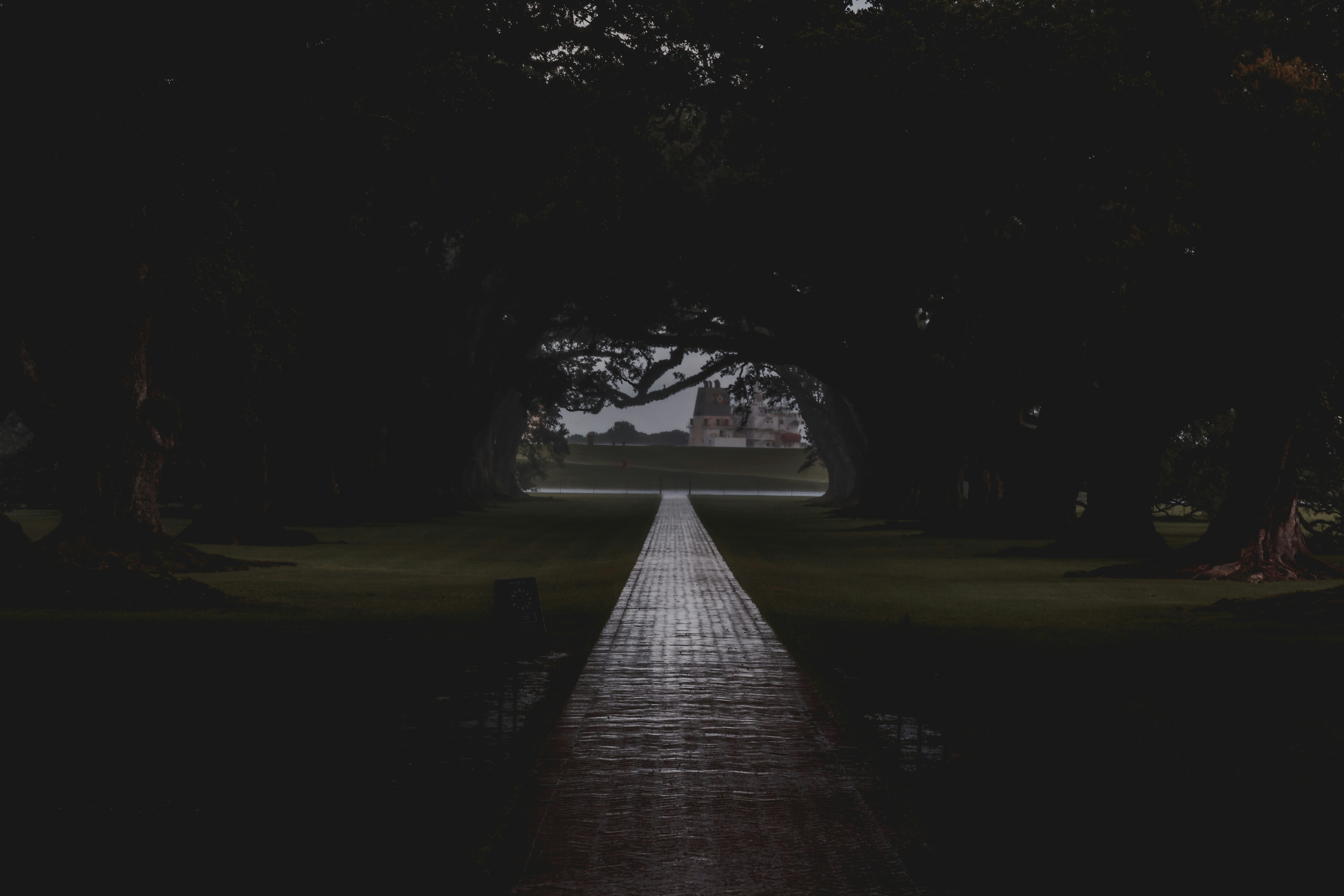 Matthew Dockery (@matt_dockery) | Unsplash Photo Community