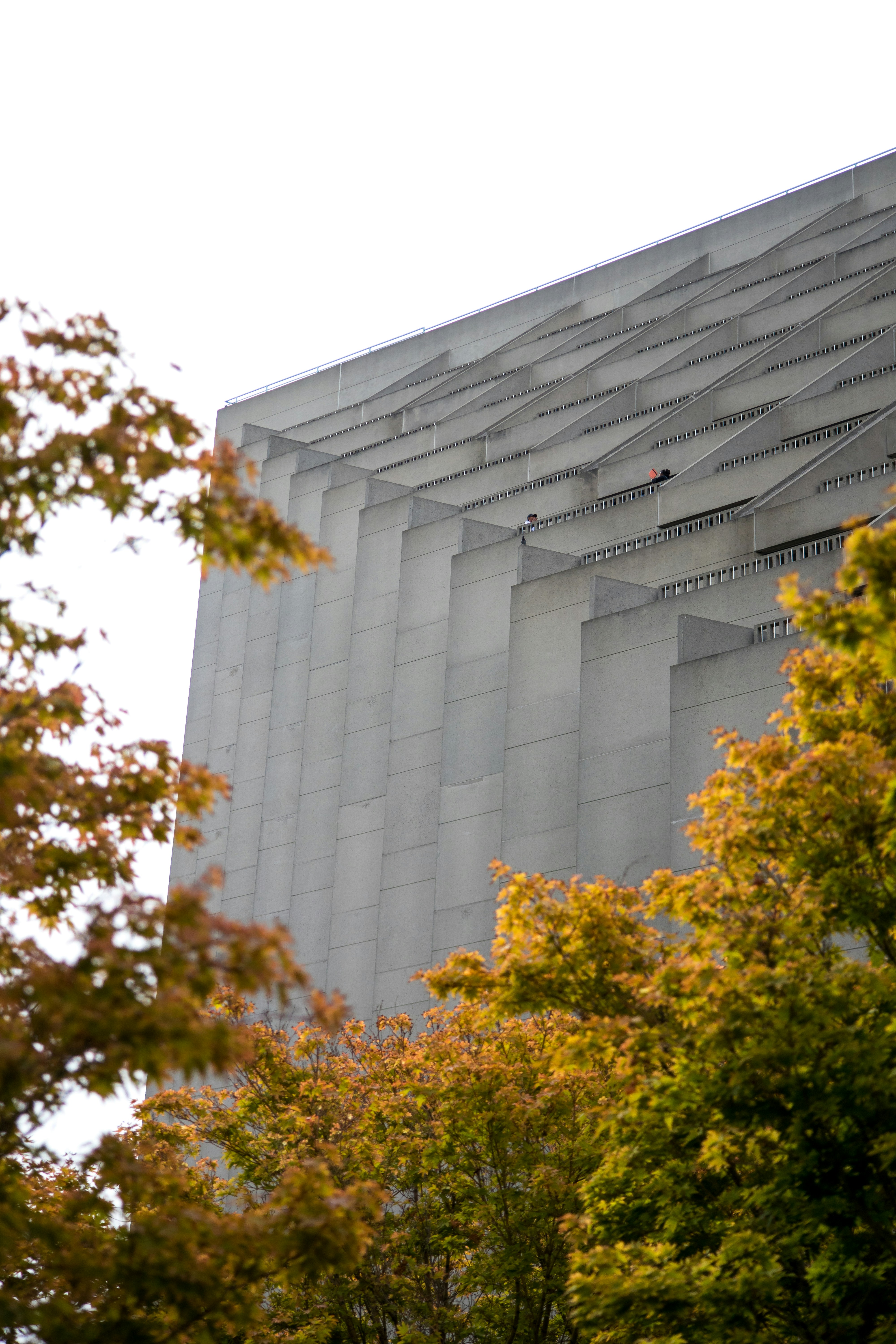 Green trees beside building photo – Free Flower Image on Unsplash