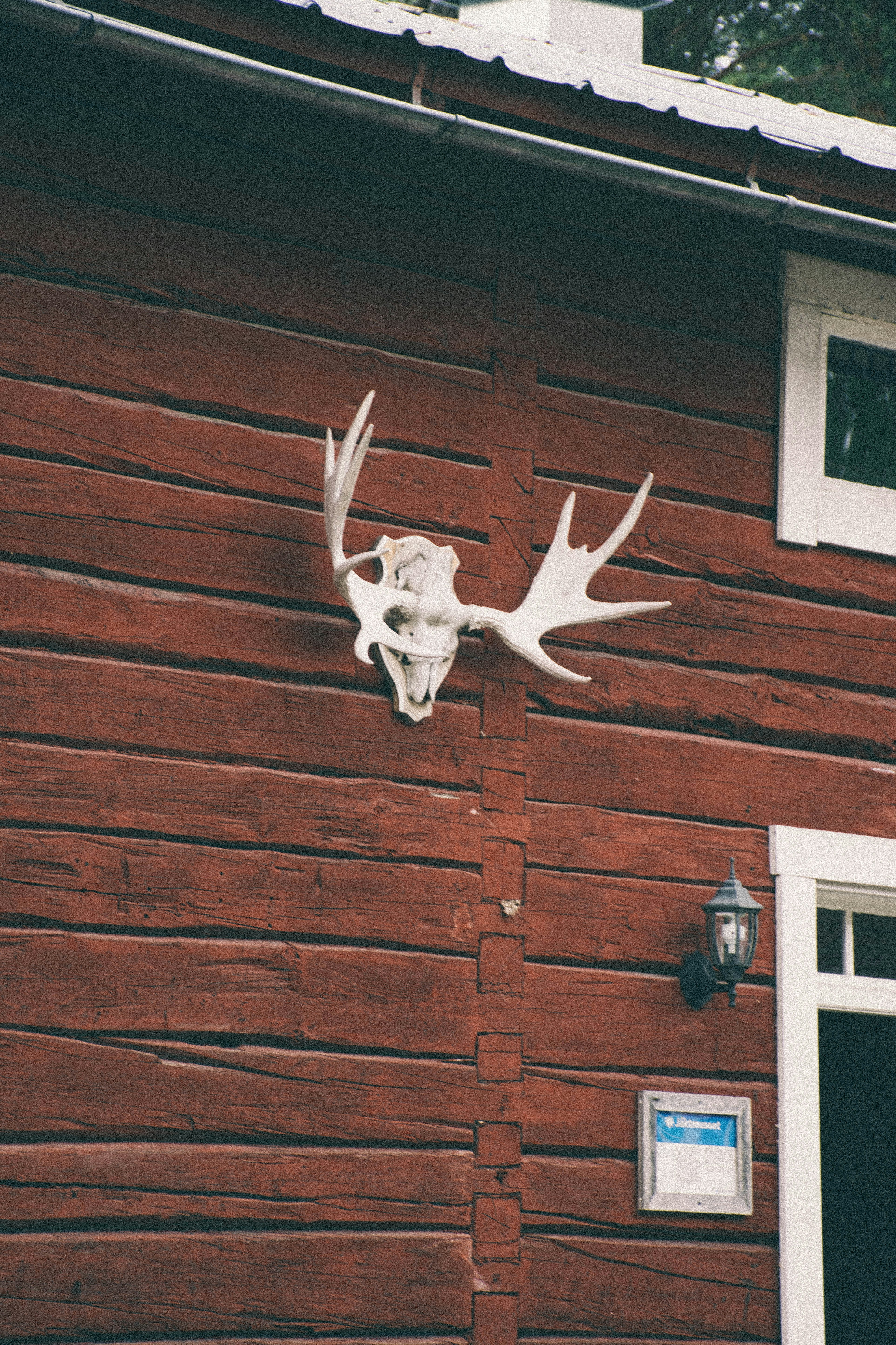 Antlered Crest Adorning a Weathered Red Barn