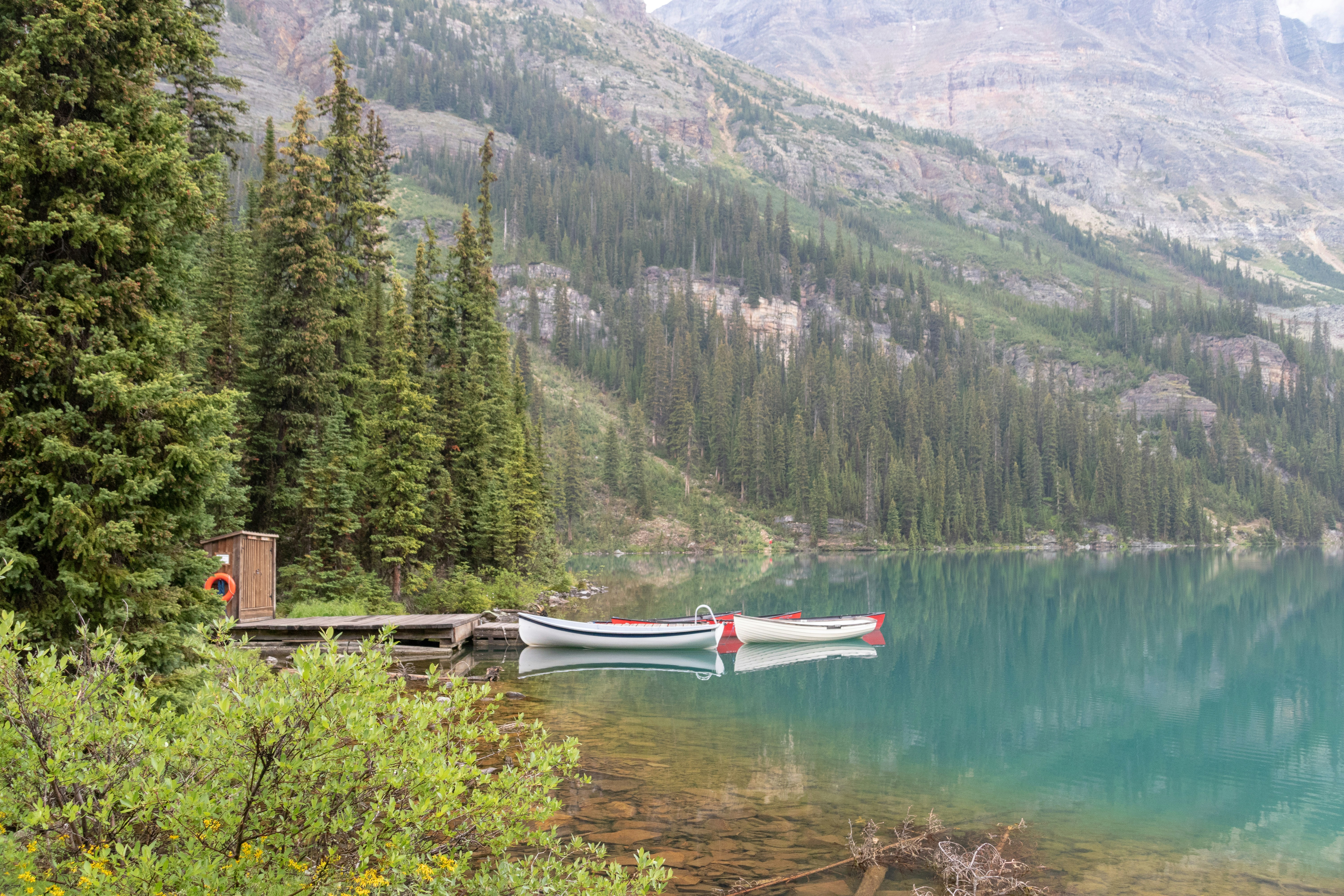 white canoes on body of water