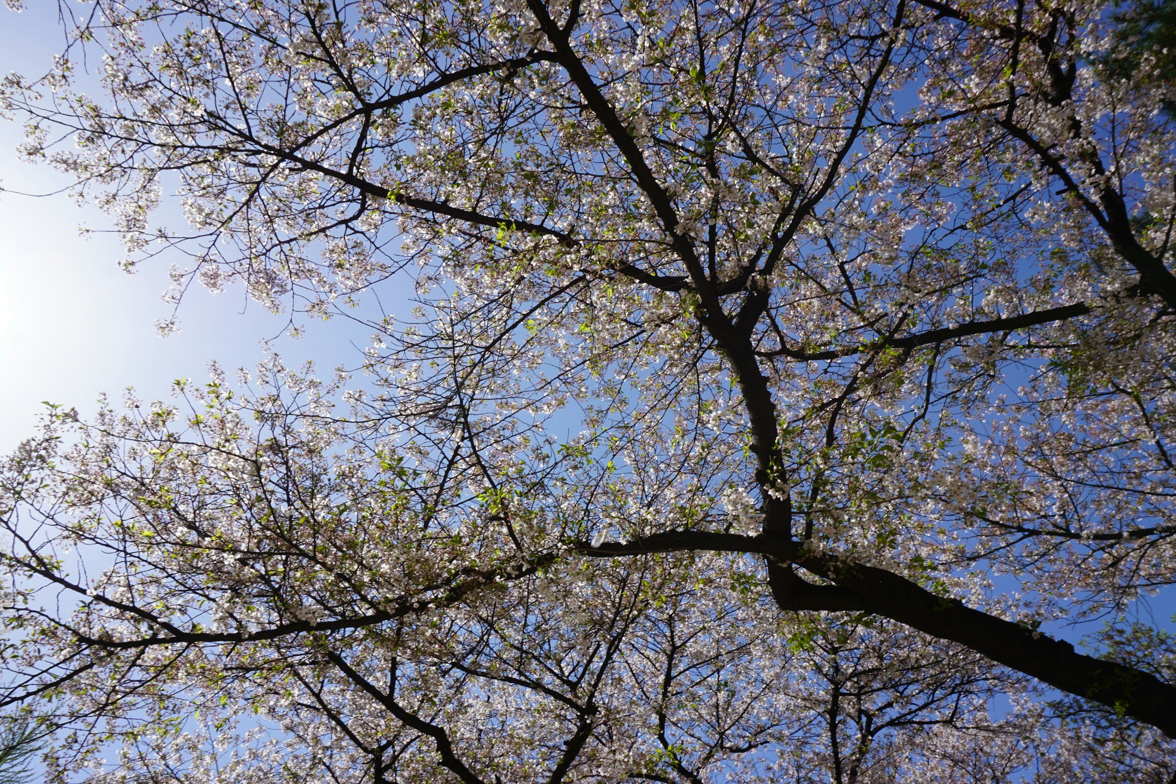 JOONY (@joony) | Komunitas Foto Unsplash