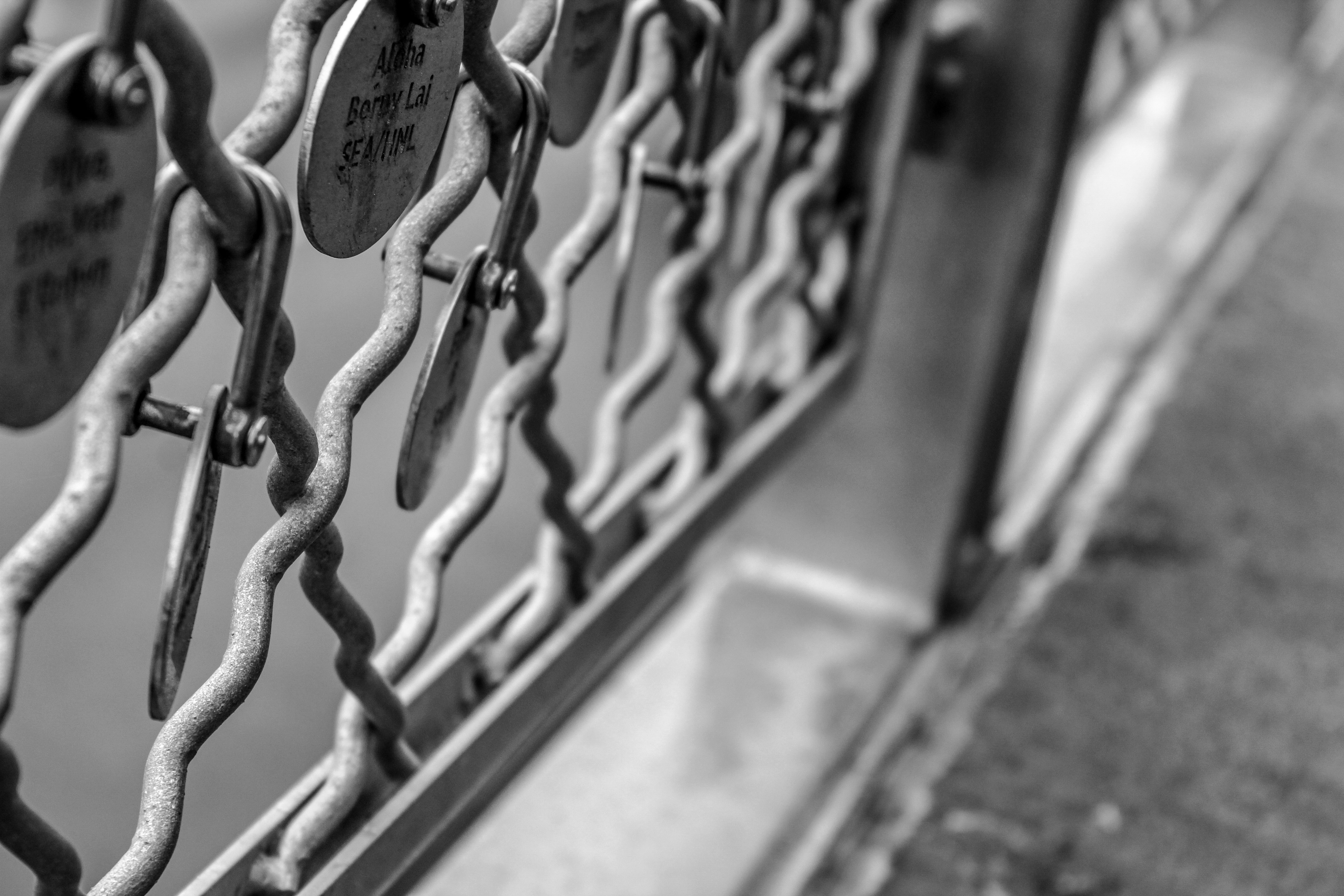 Elijah Macleod (@elijahmacleod) | Communauté photos Unsplash