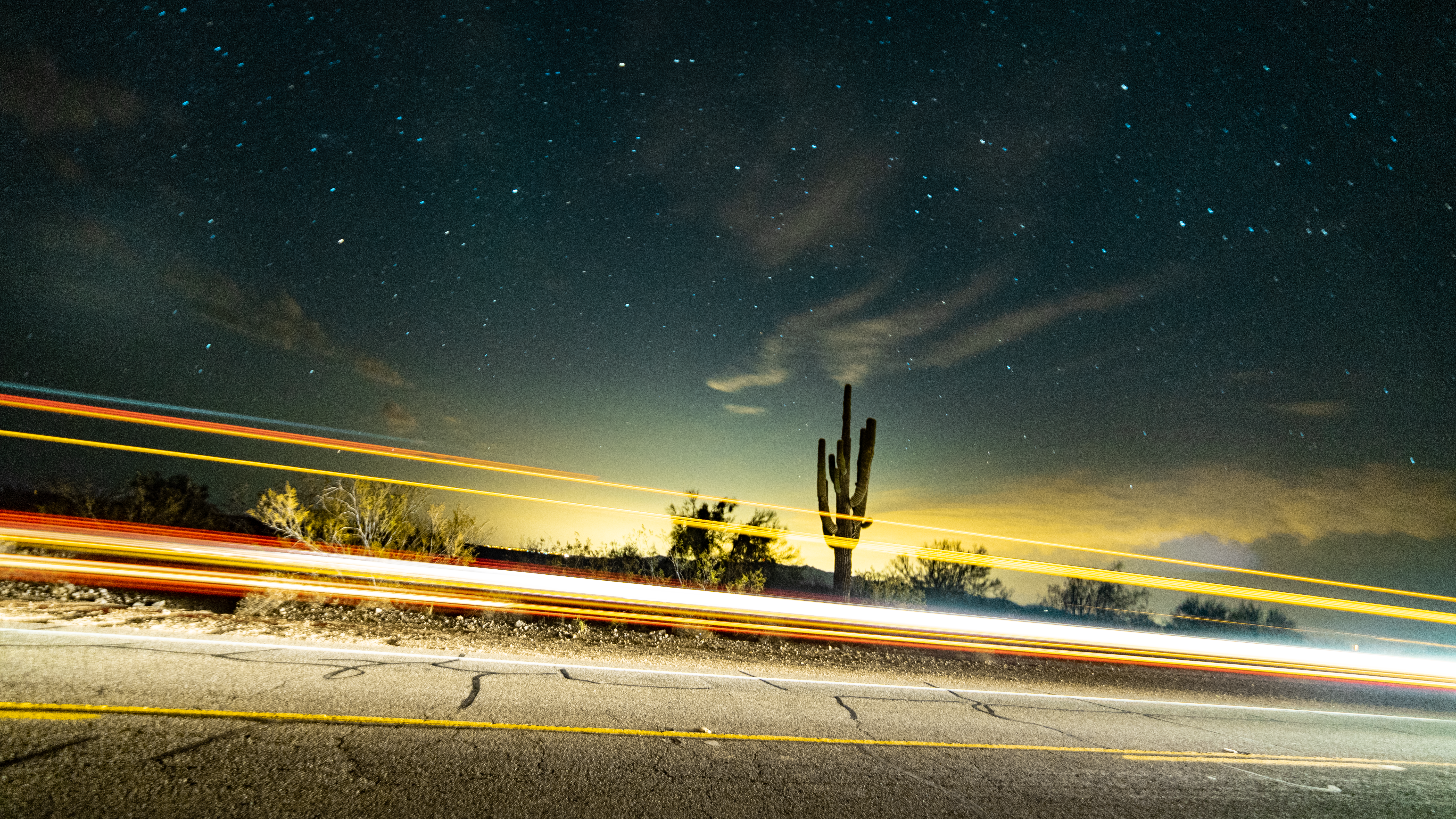 Cactus Sentinel Beneath a Starfield: Night Road Streaks Across a Desert Horizon