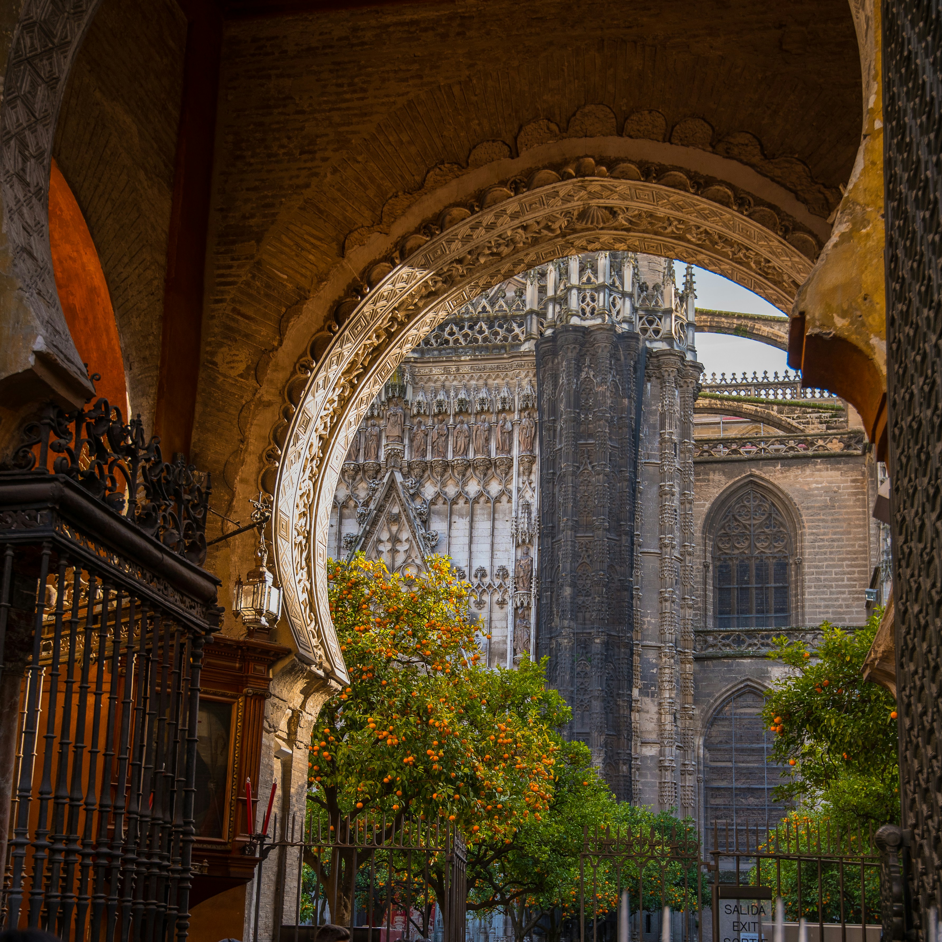 Intricate archway framing a view of a historic cathedral, with vibrant greenery and orange trees in the foreground.