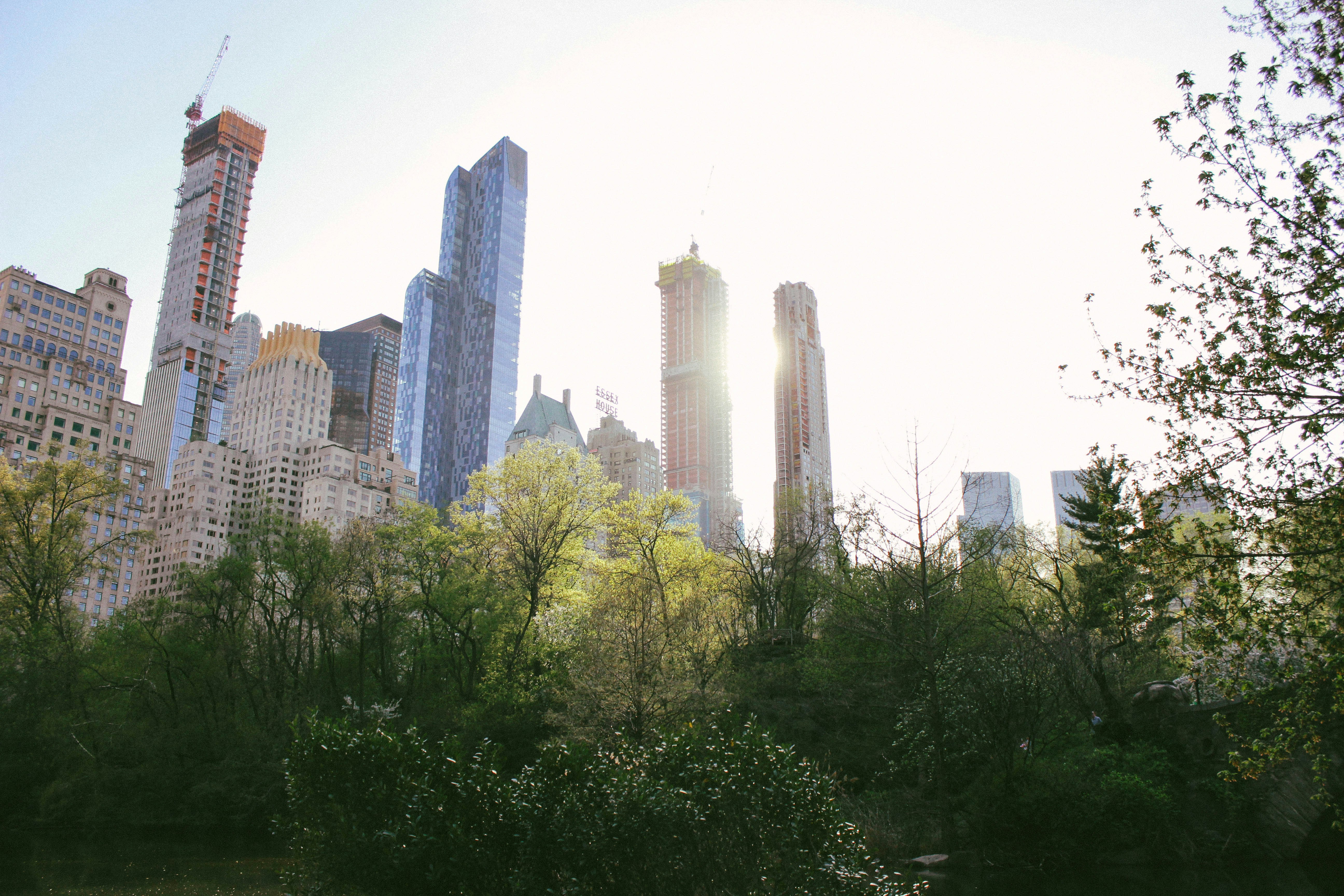 Sunlit Glass Towers Rise Over a Quiet Park