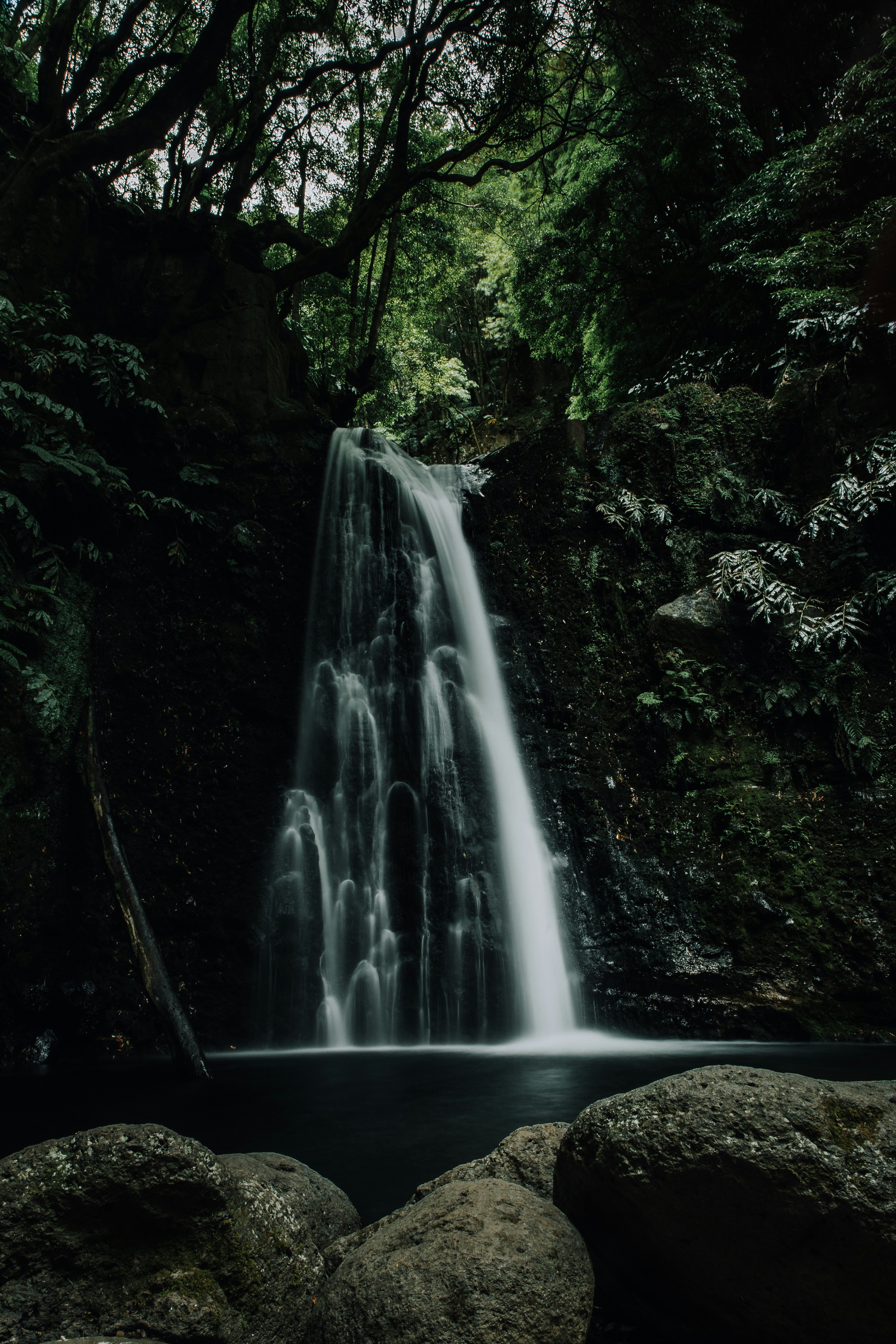 Waterfalls surrounded by trees photo – Free Portugal Image on Unsplash