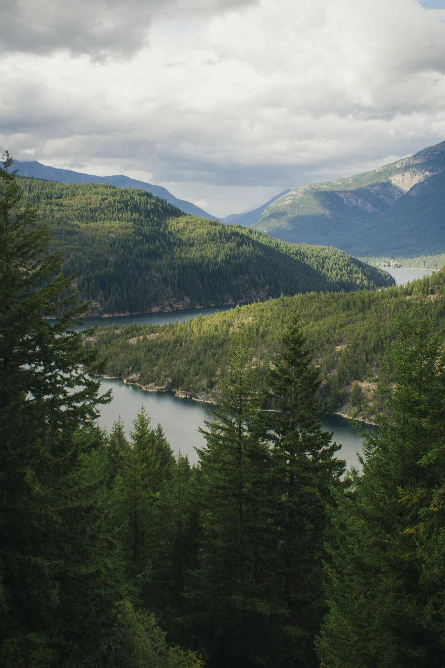 Forested mountain valley with a winding lake below and layered hills in the distance under a bright, cloudy sky.