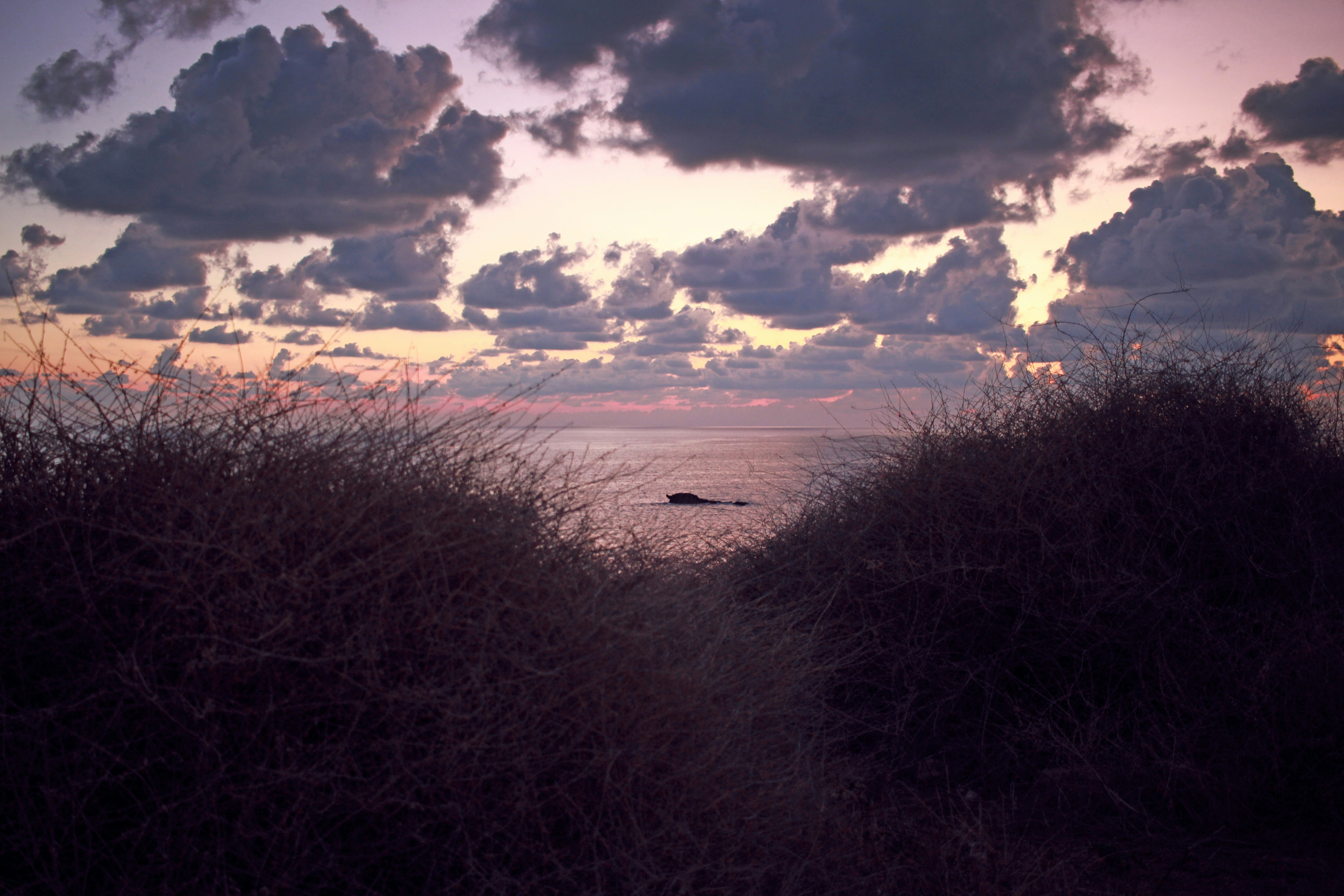 Dusk Between Dunes: A Lone Sea Rock at the Edge