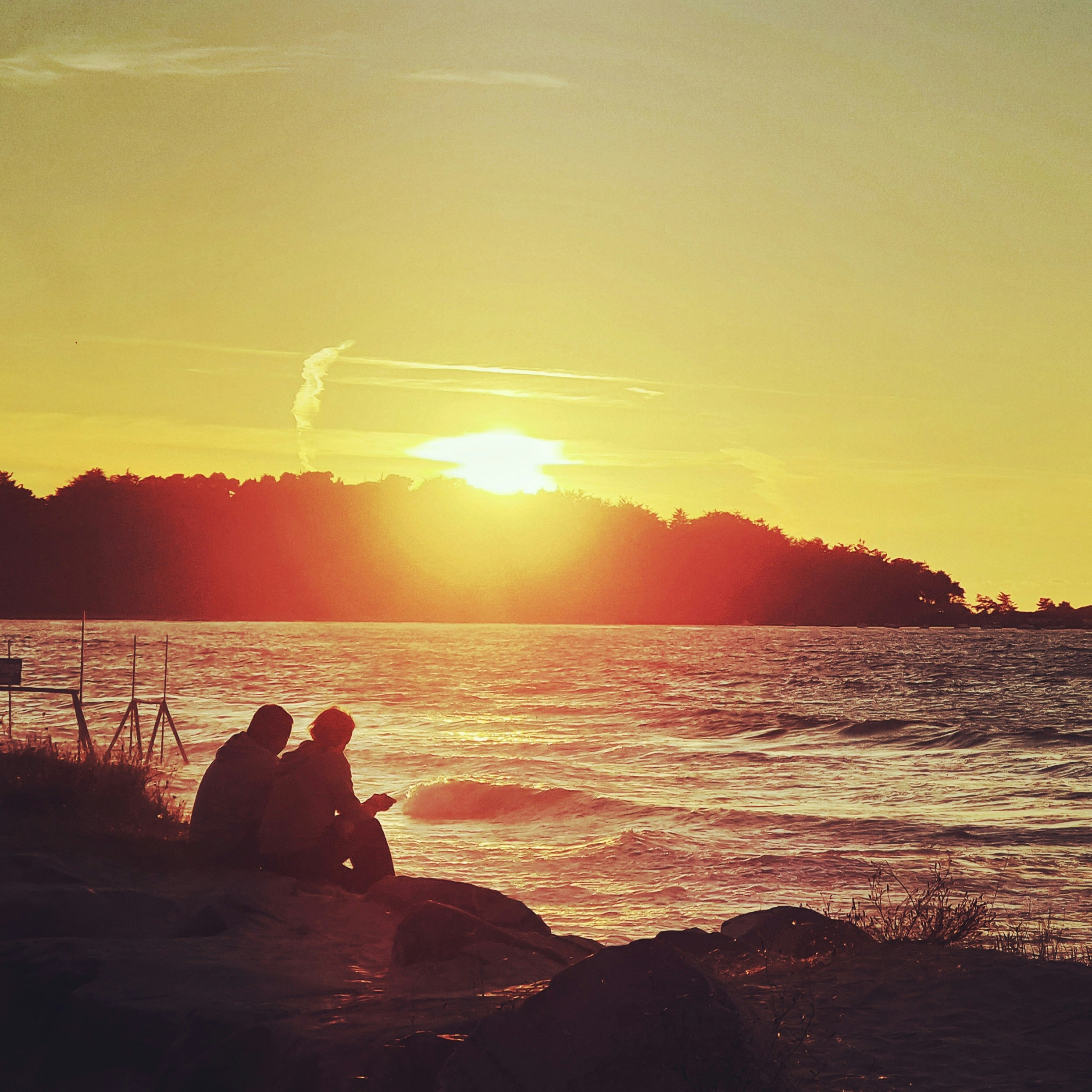 Nico Jacobs (@cojaco) | Unsplash Photo Community