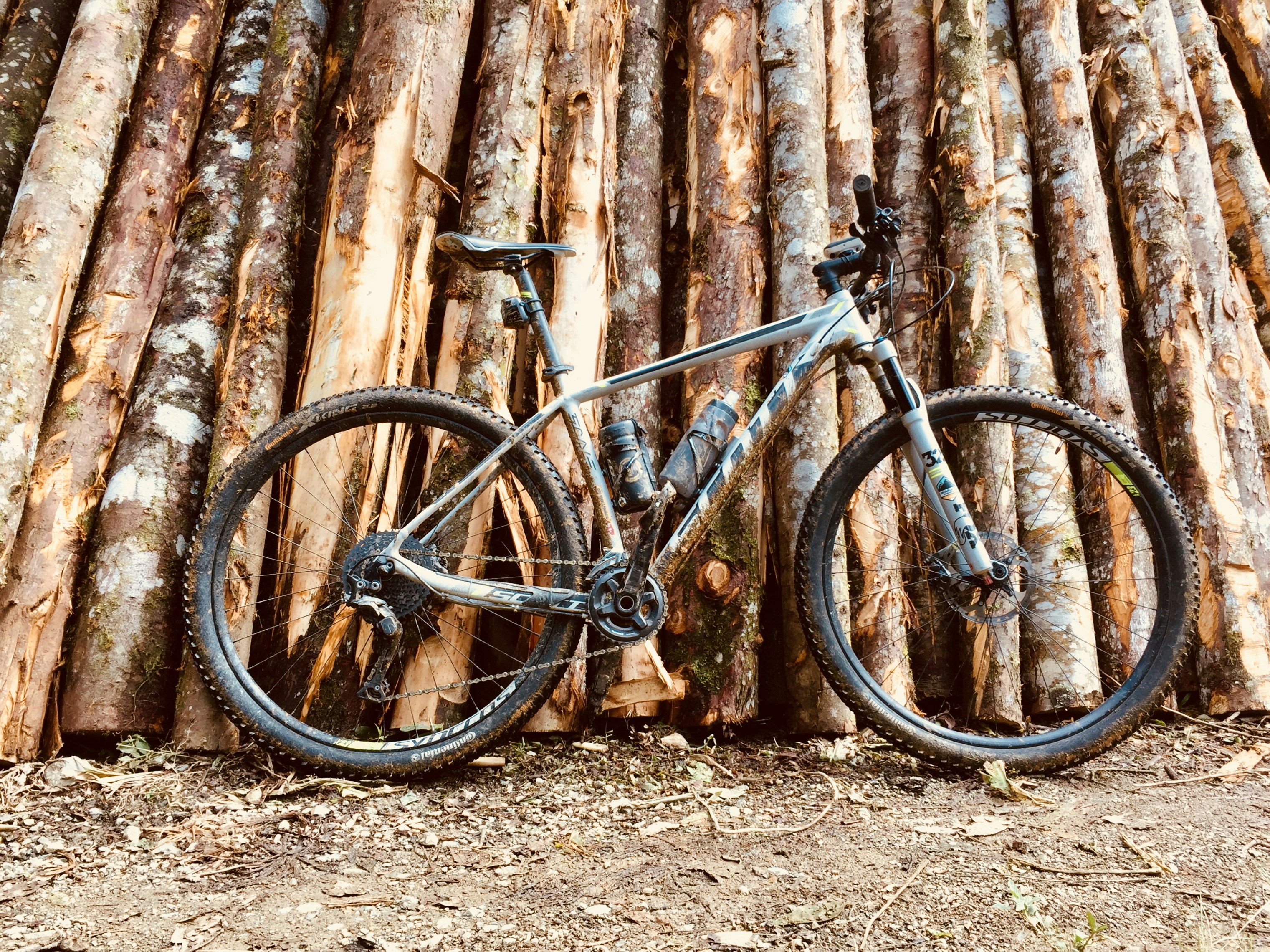 Mountain bike resting against a stack of neatly arranged cut logs.