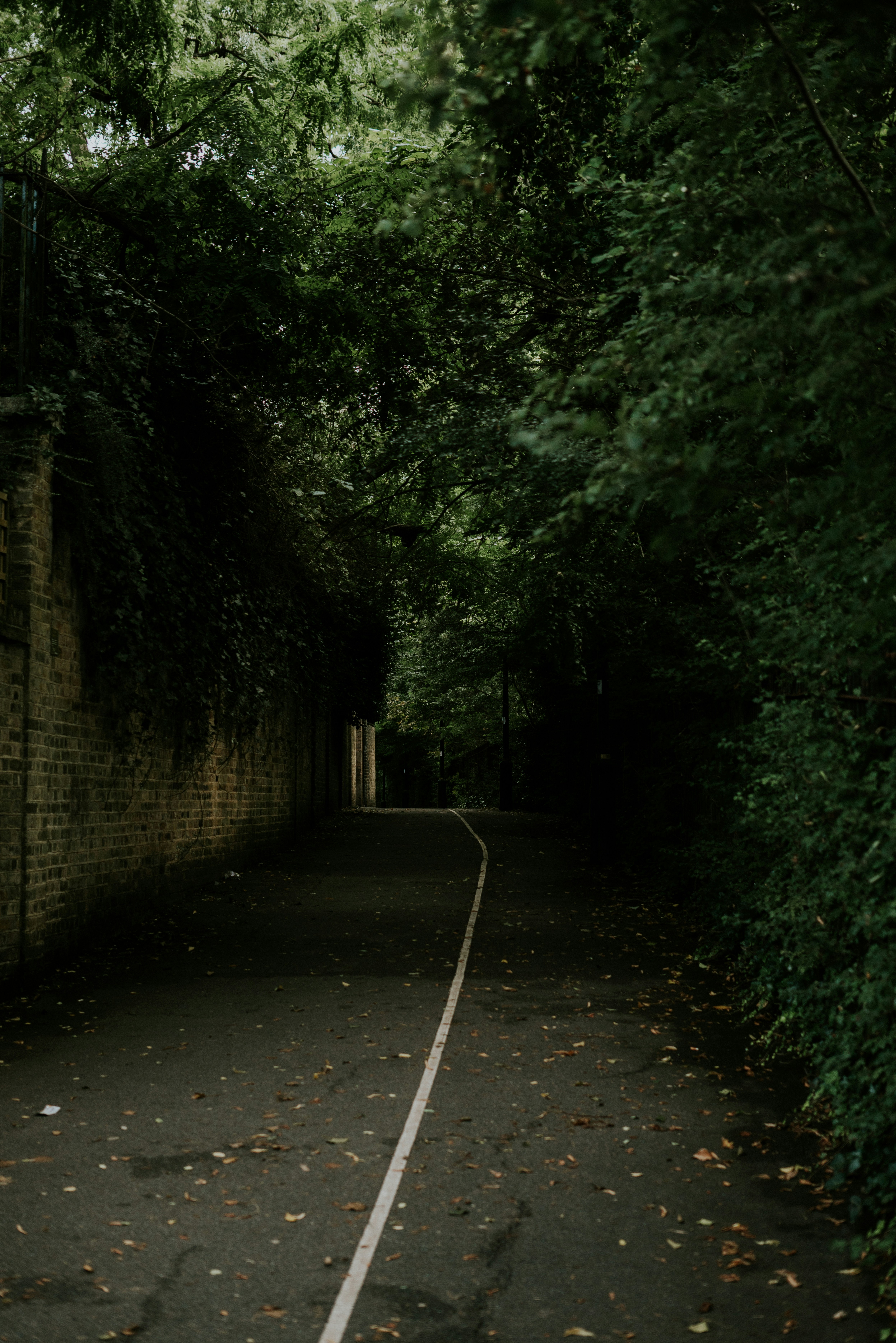 A winding pathway through a lush, overgrown area, flanked by a brick wall and dense foliage. The scene evokes a sense of tranquility and mystery.