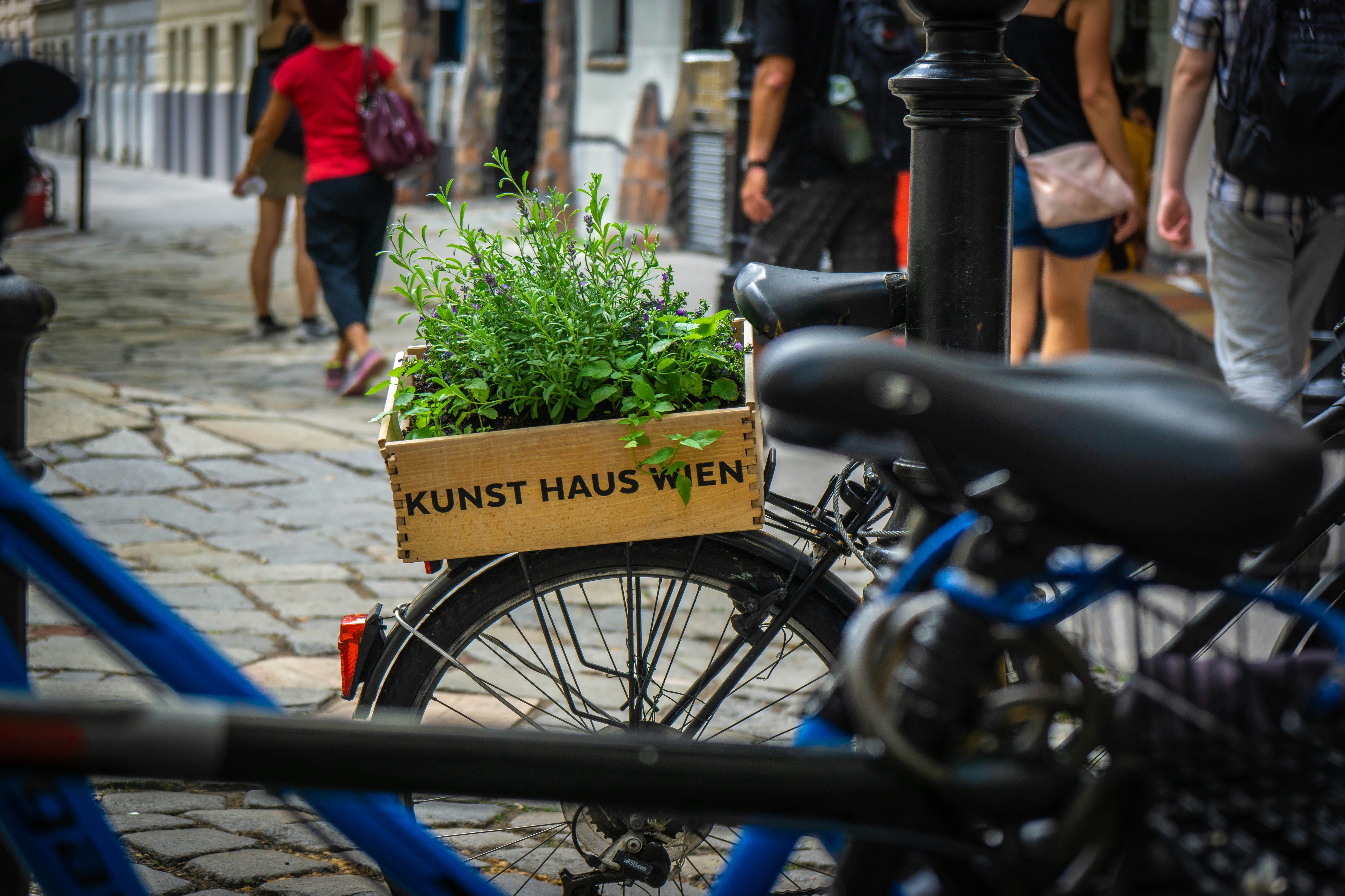 Urban Crate Garden: Greenery in a Bicycle Blockade