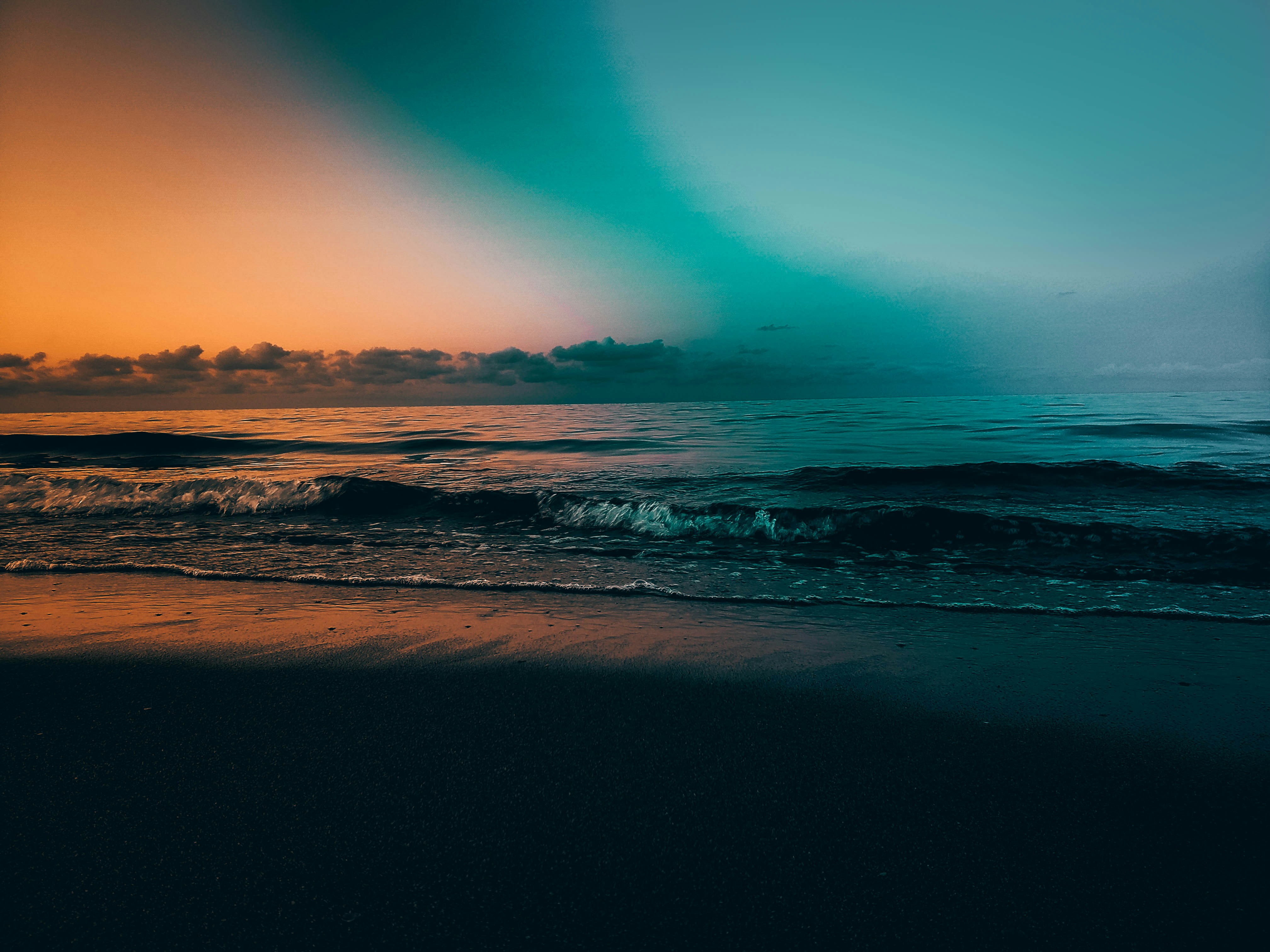 Fané Photos | Télécharger des images gratuites sur Unsplash