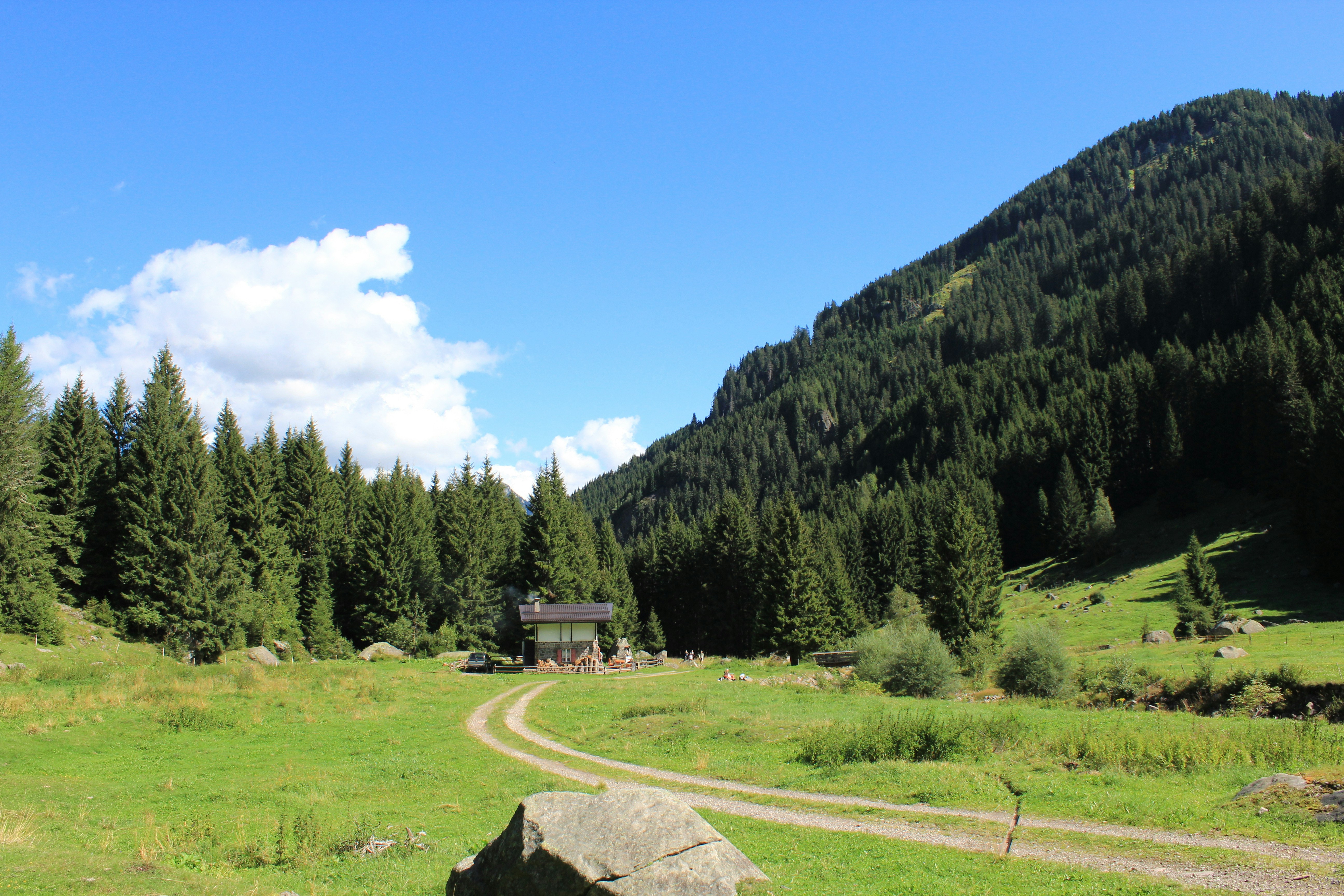 A rustic cabin nestled in a lush green valley surrounded by towering coniferous trees and majestic mountains under a bright blue sky.