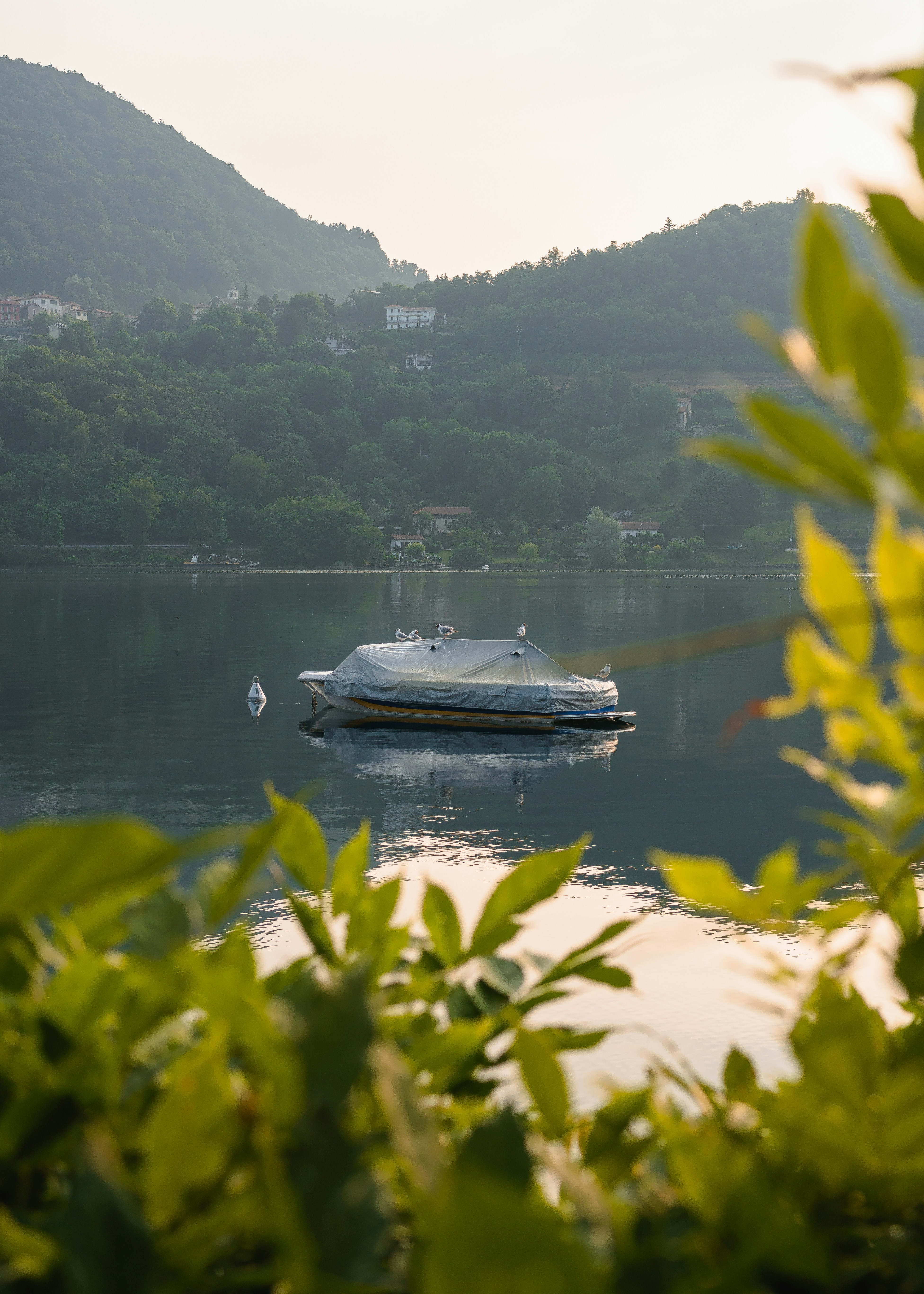 Silent Mooring on a Mountain Lake Framed by Lush Foreground